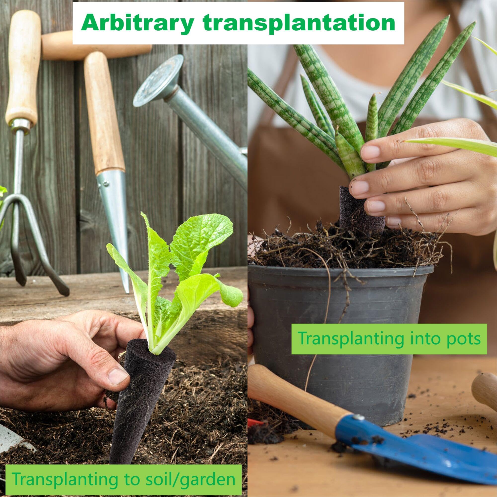 Snapklik.com : Hahalife 100 Pcs Hydroponics Grow Sponges, Replacement ...