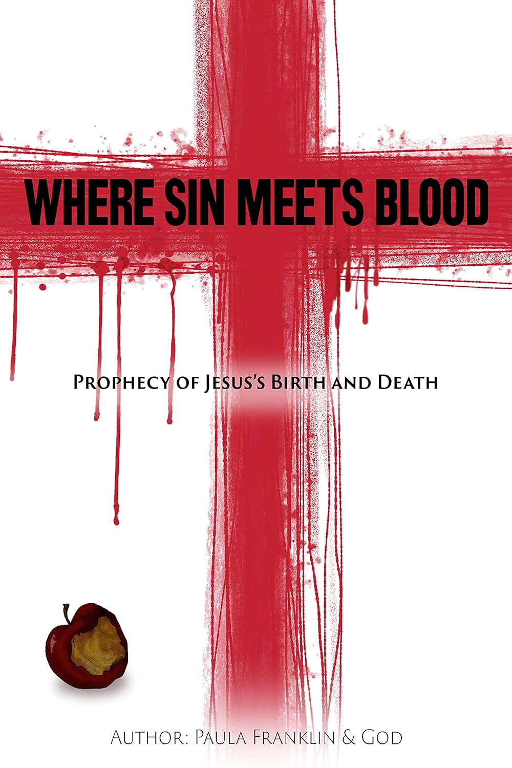 Where Sin Meets Blood: Prophecy Of Jesus Birth and Death - Kindle ...