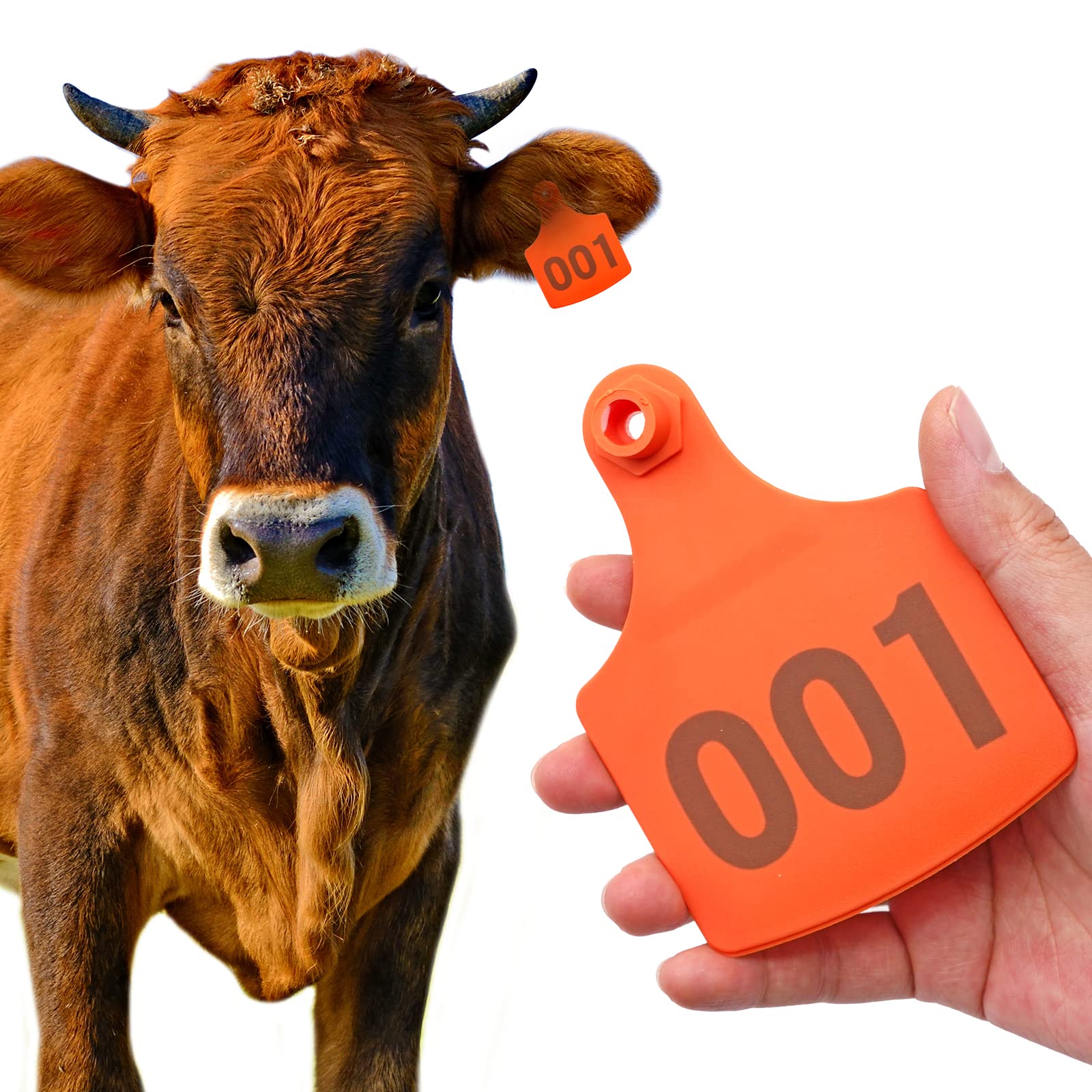 Snapklik.com : Cattle Ear Tags,100PCS Numbered Plastic Livestock Ear ...