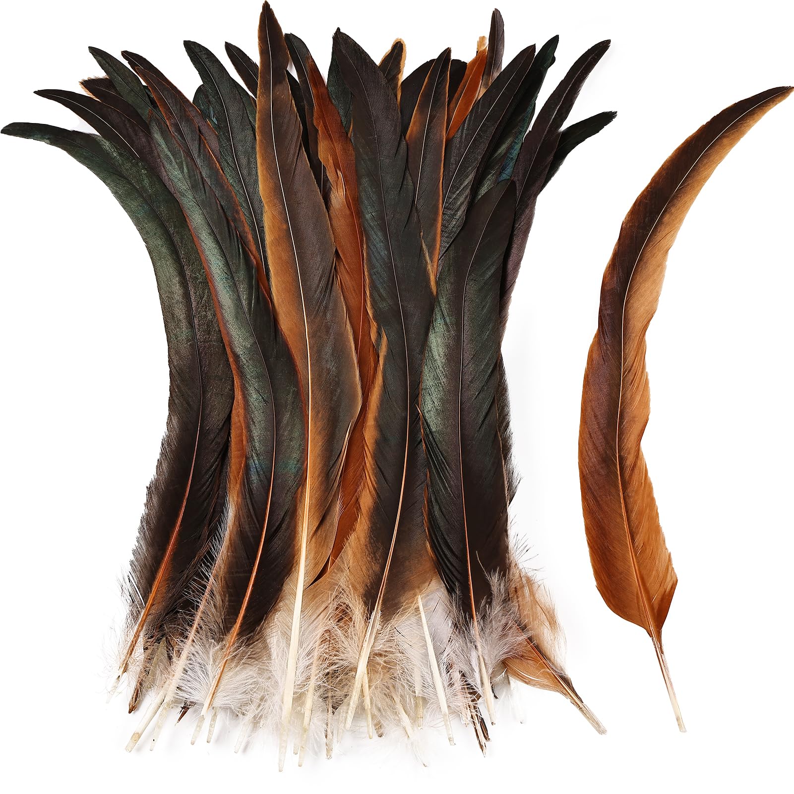 Amazon.com: iHUFeather Natural Rooster Tail Feathers 50pcs 10-12inch ...