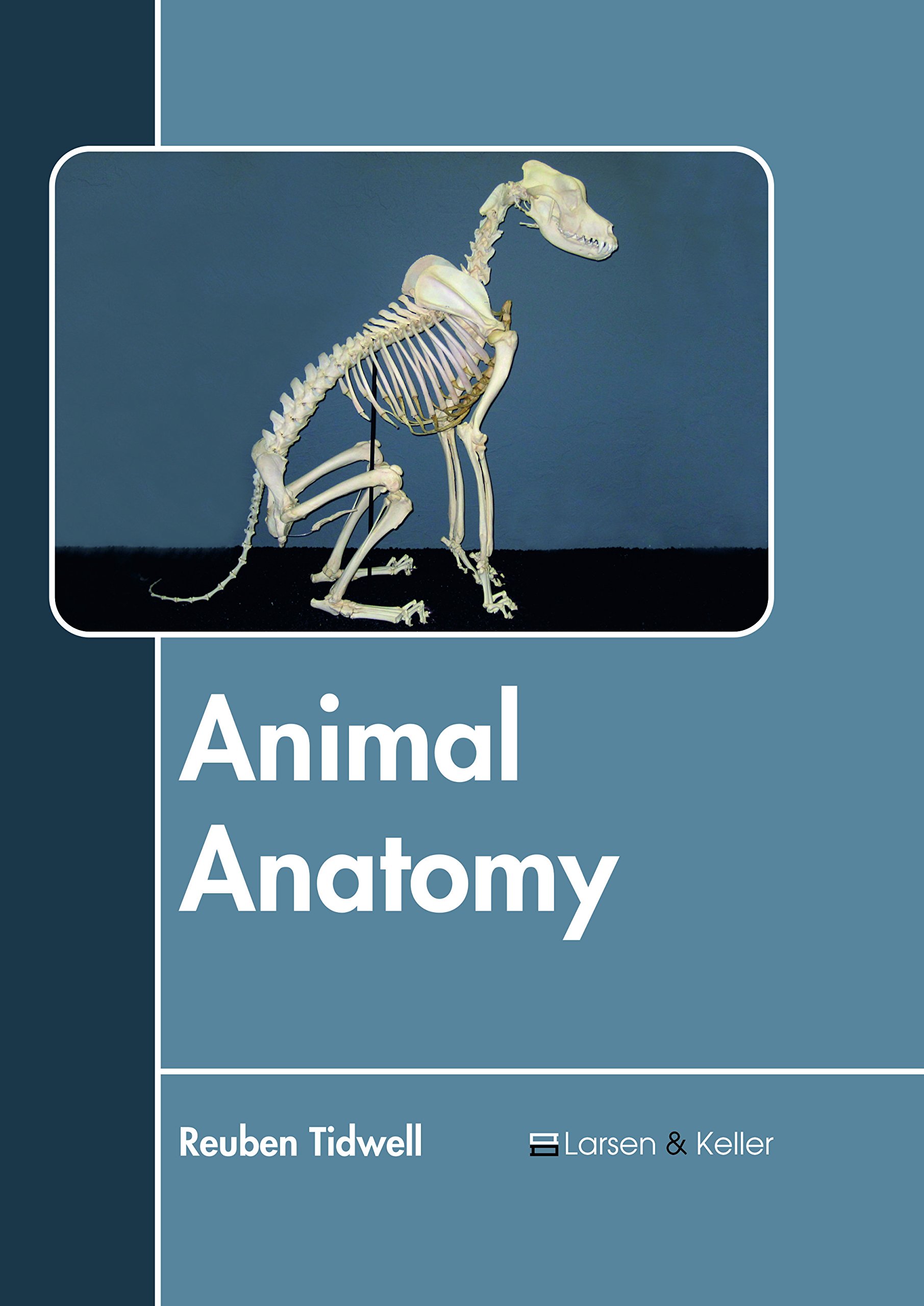 Animal Anatomy: Tidwell, Reuben: 9781635497595: Amazon.com: Books