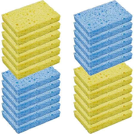 Amazon.com: 12-Count Kitchen Sponges- Compressed Cellulose Sponges Non ...