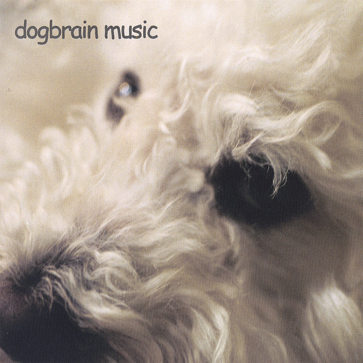 Dogbrain - Dogbrain Music - Amazon.com Music