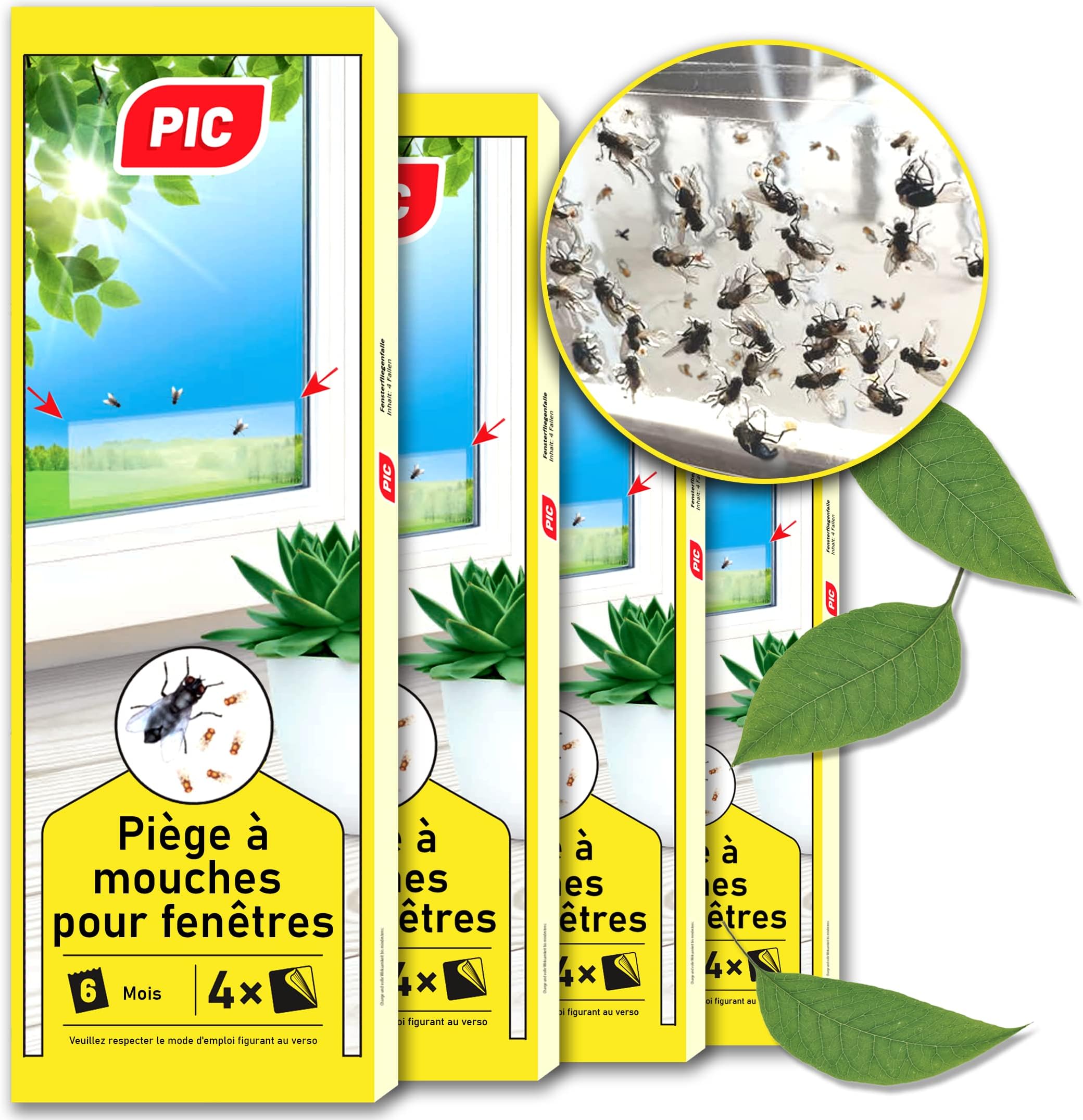 Frubby® - Piège à Mouches des Fruits, pour Les Mouches des Fruits et du ...