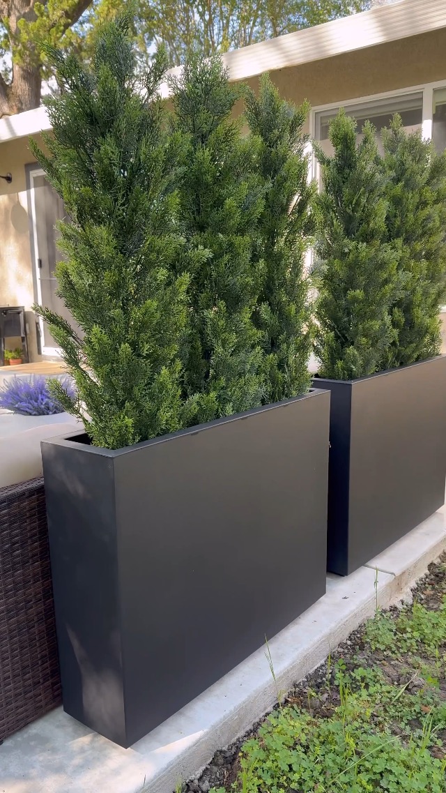 Watch Create a beautiful privacy screen with cedar trees and solar ...