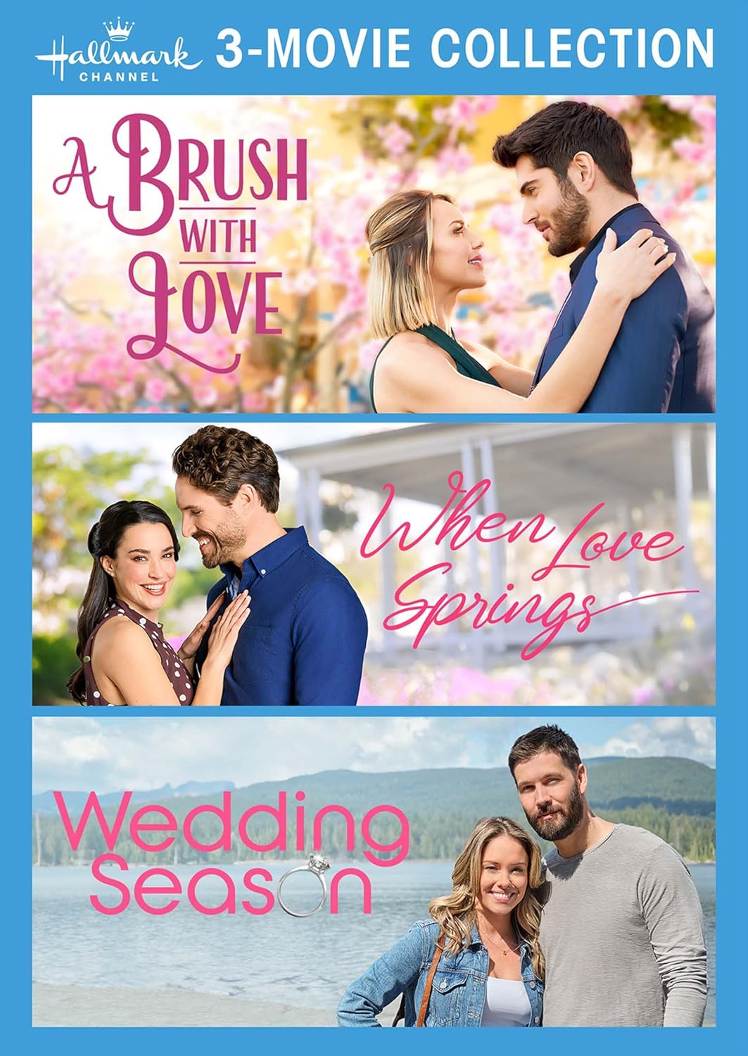 Amazon.com: HALLMARK 3 MOVIE COLLECTION: A BRUSH WITH LOVE : David ...