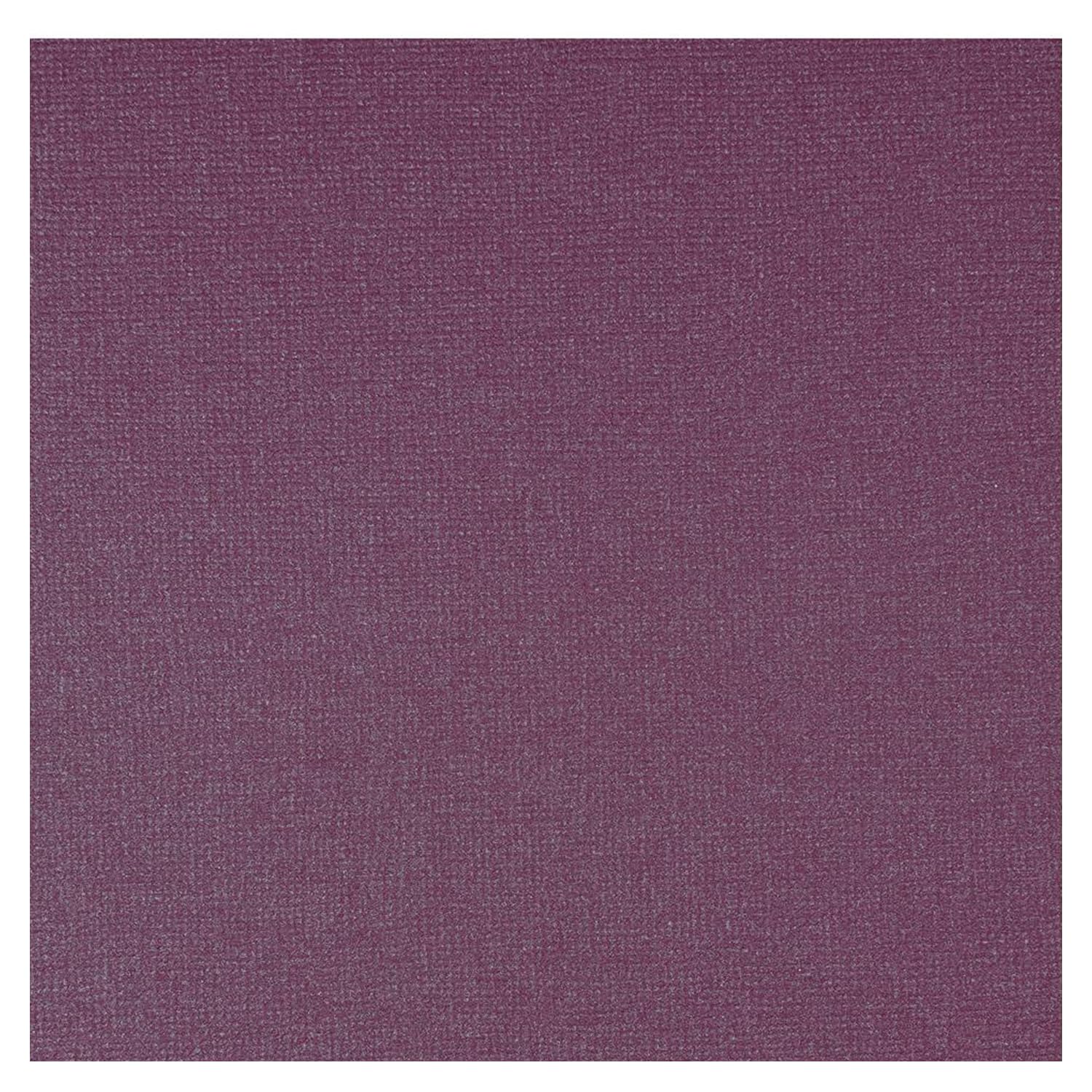Amazon.com: PA Paper Accents Glimmer Cardstock 12" x 12" Purple Velvet ...