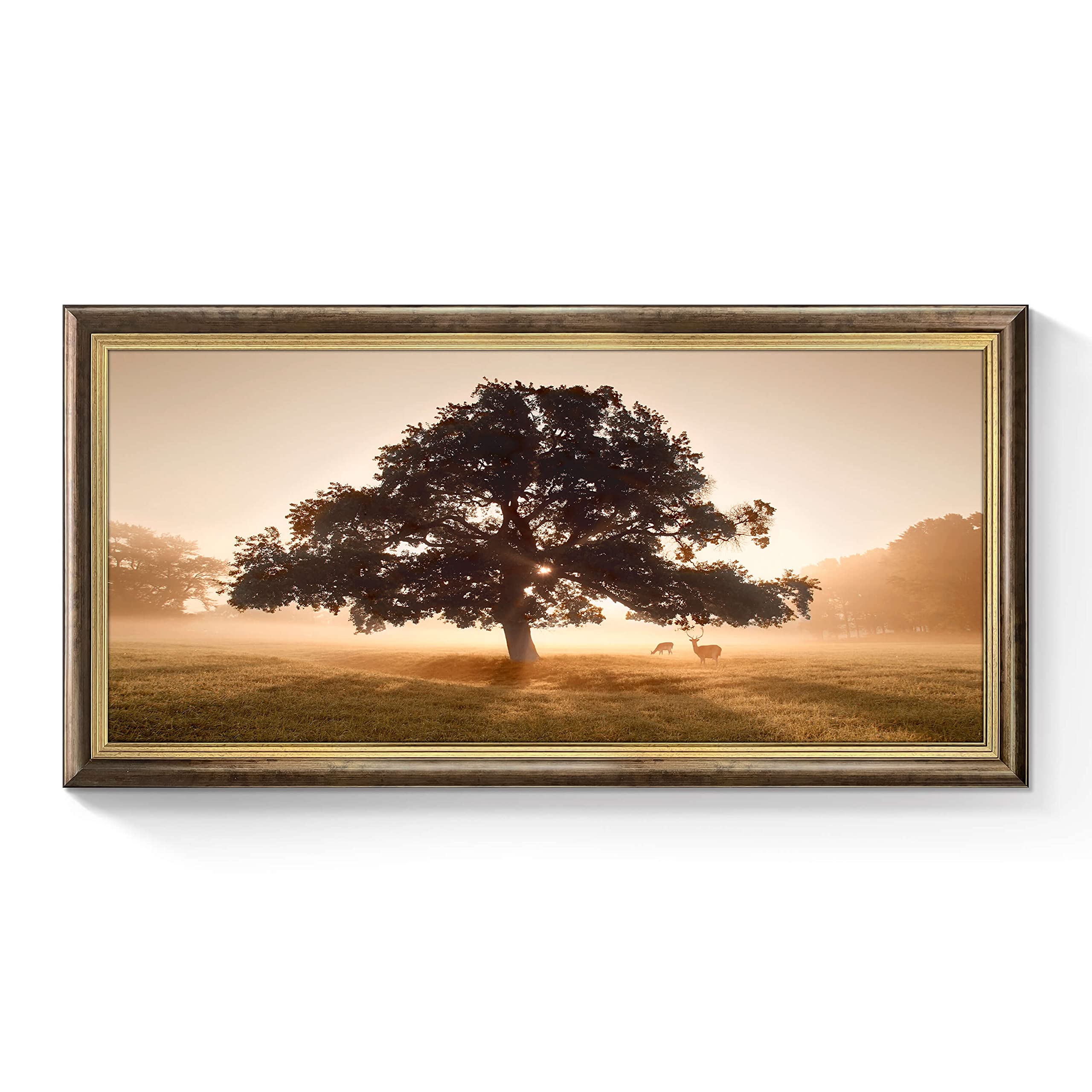Amazon.com: Tree Forest Framed Wall Art: Big Trees in Gold Sunset ...