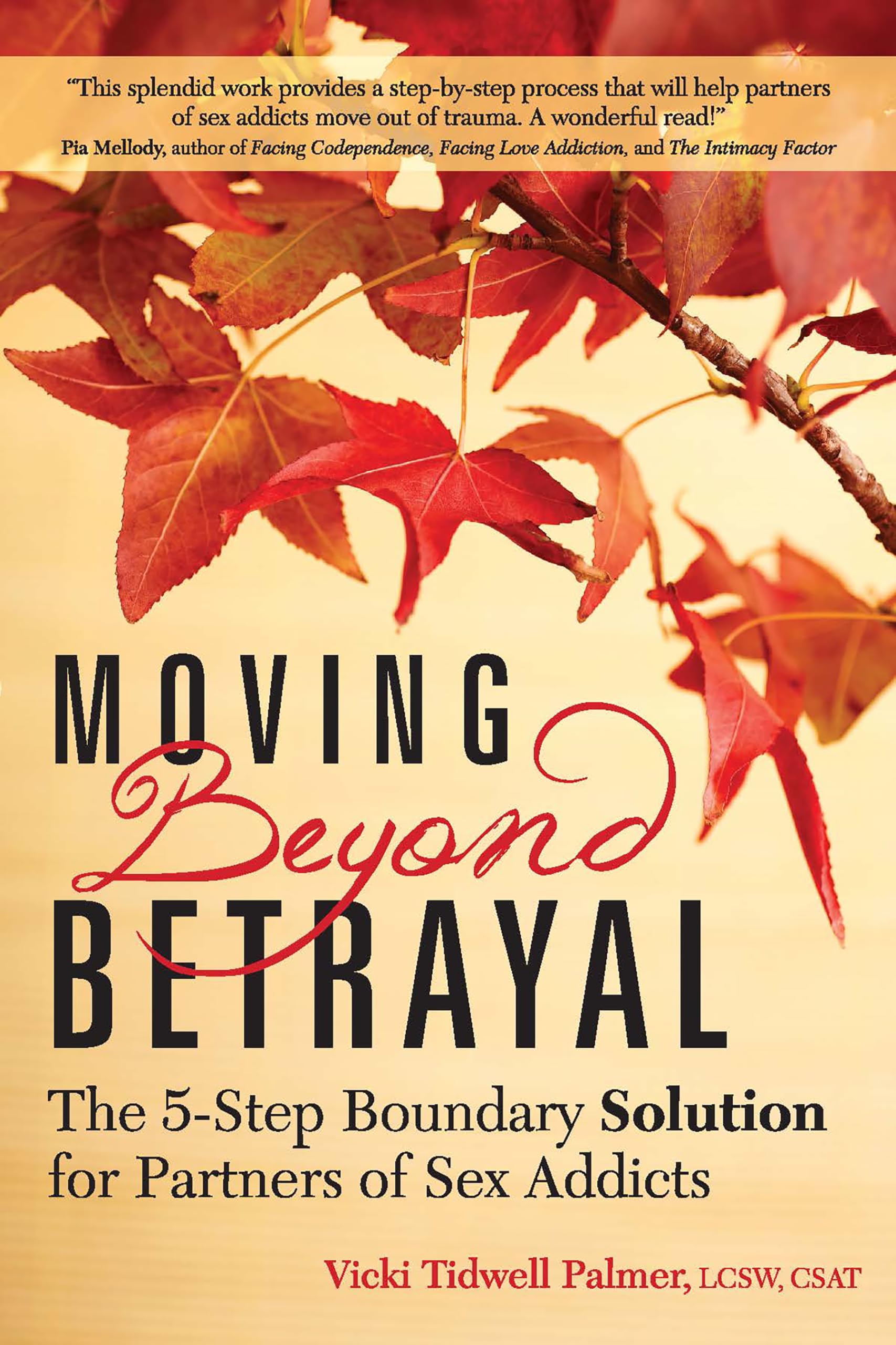 Moving Beyond Betrayal: The 5-Step Boundary Solution for Partners of ...