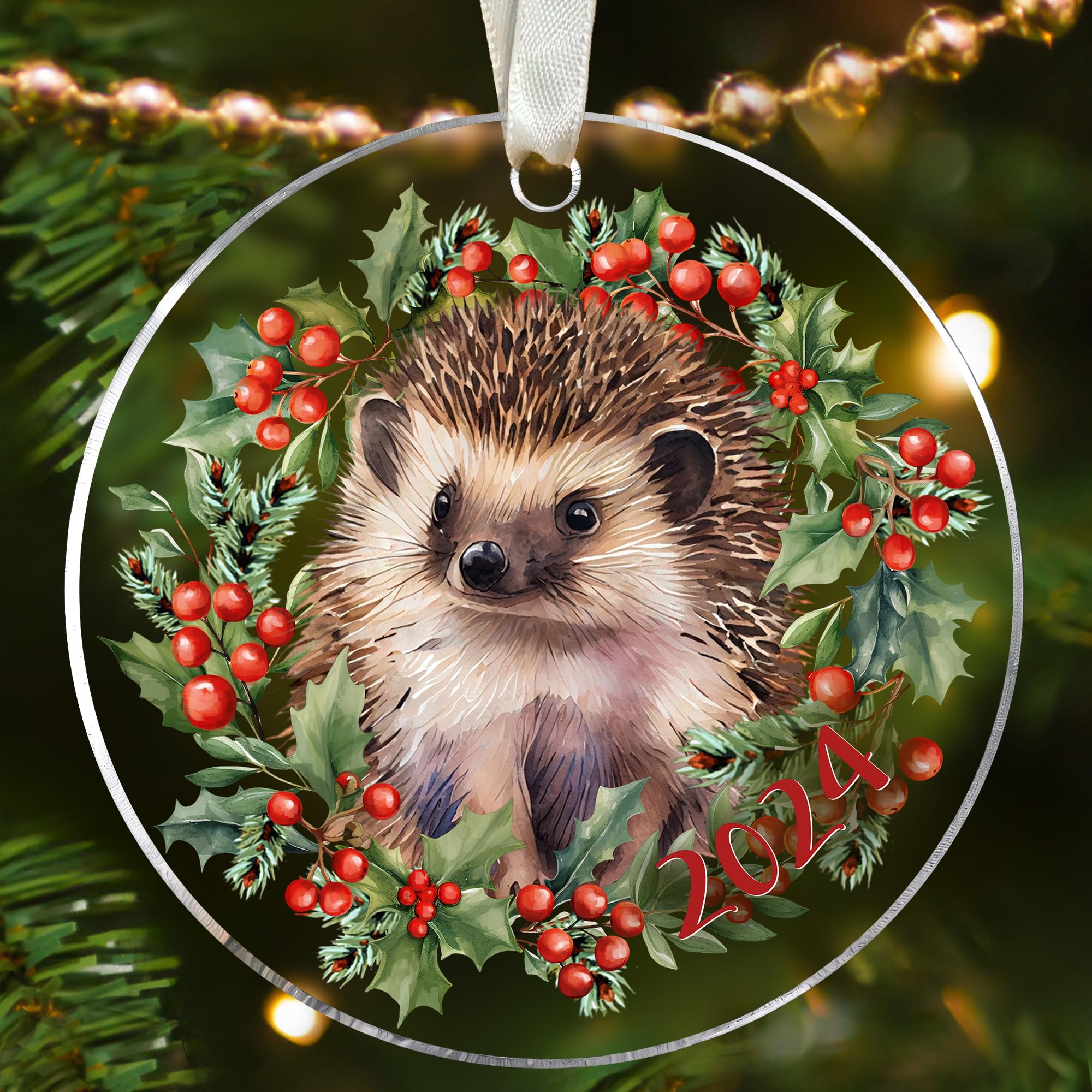 Amazon.com: Hedgehog Ornament for Christmas 2024 - Hedgehog Lover ...