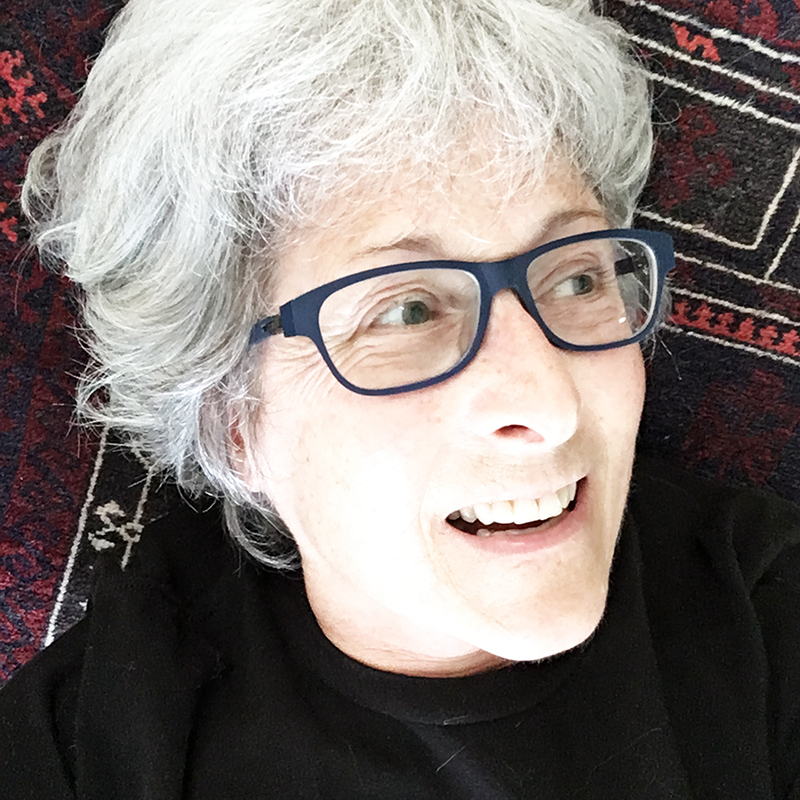 Amazon.co.uk: Sue Perry: books, biography, latest update