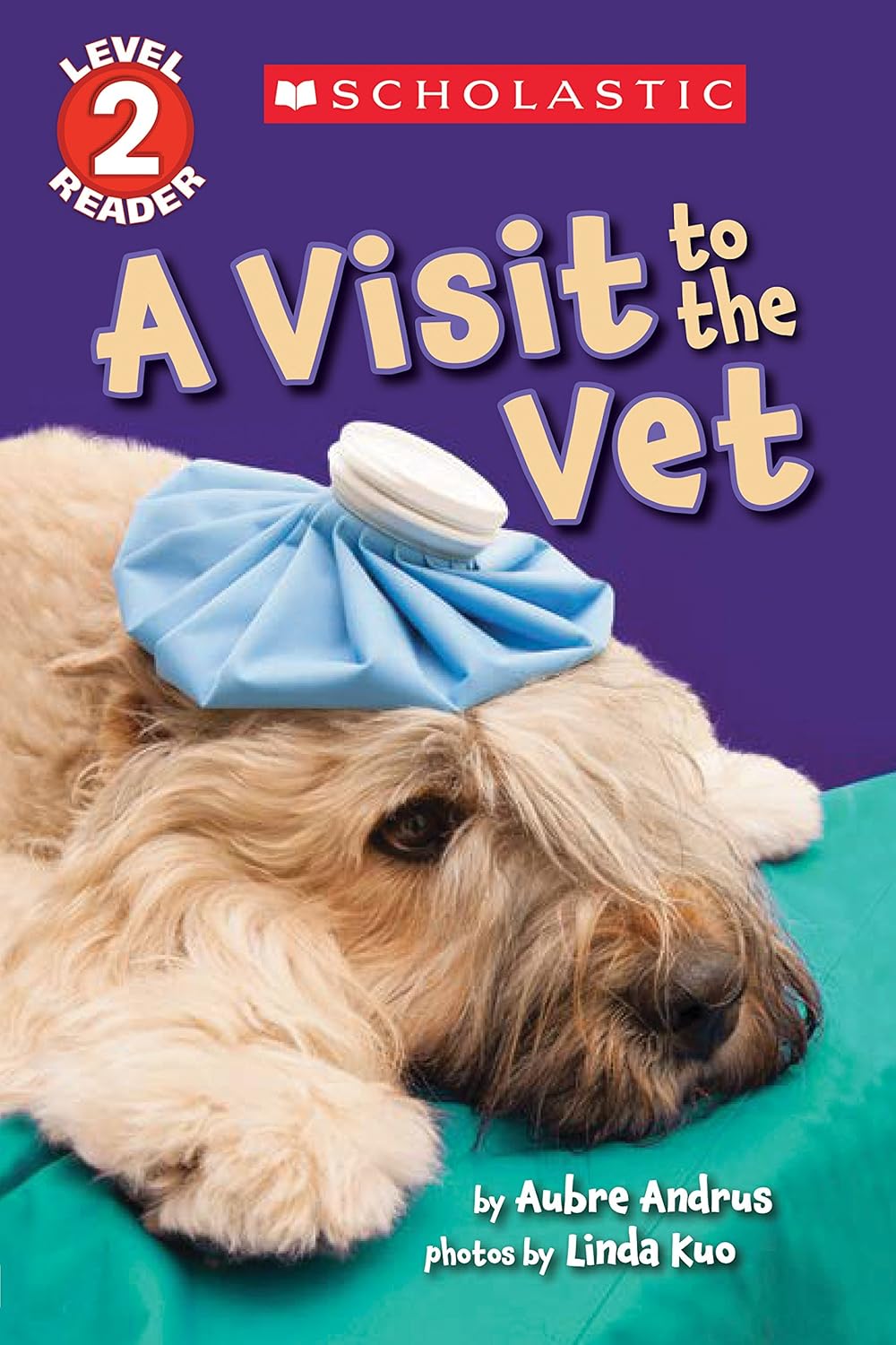 Amazon.com: A Visit to the Vet (Scholastic Reader, Level 2 ...
