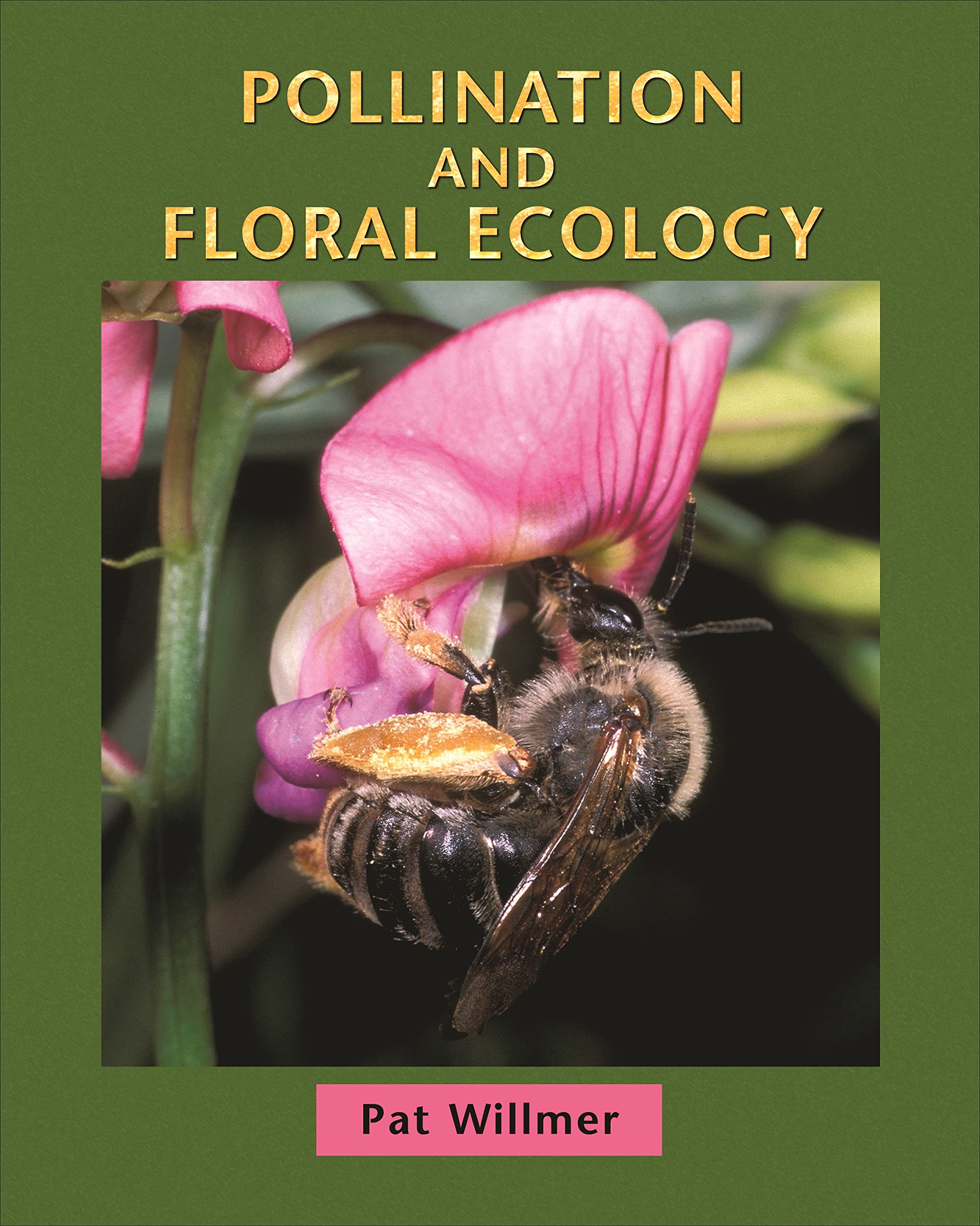 Pollination and Floral Ecology: Willmer, Patricia: 9780691128610: Books ...