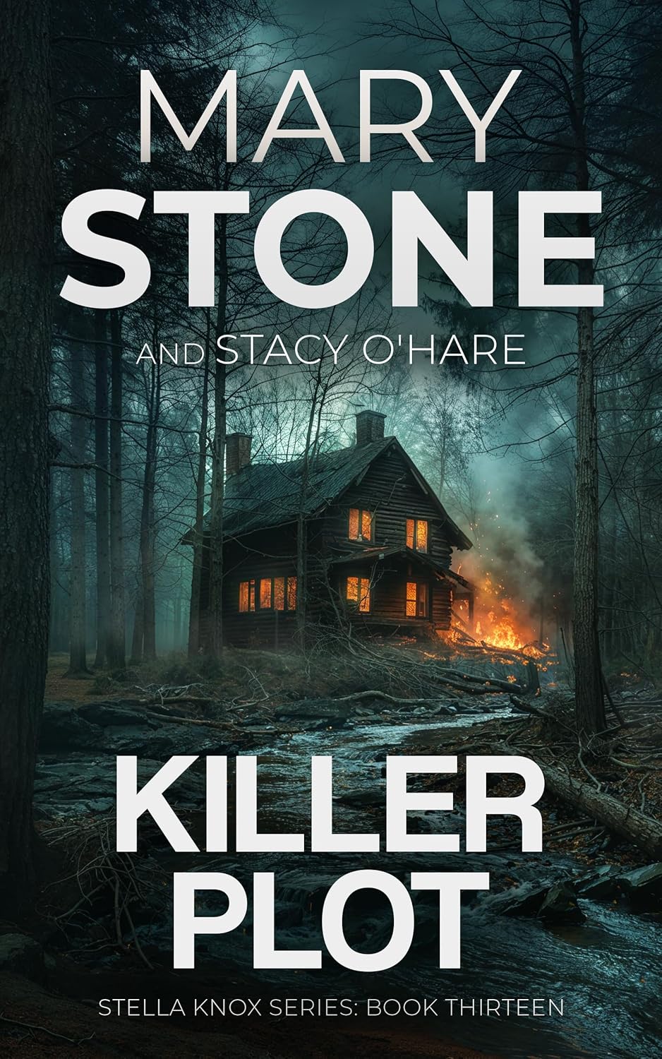 Amazon.com: Killer Plot (Stella Knox FBI Mystery Series Book 13) eBook : Stone, Mary: Kindle Store
