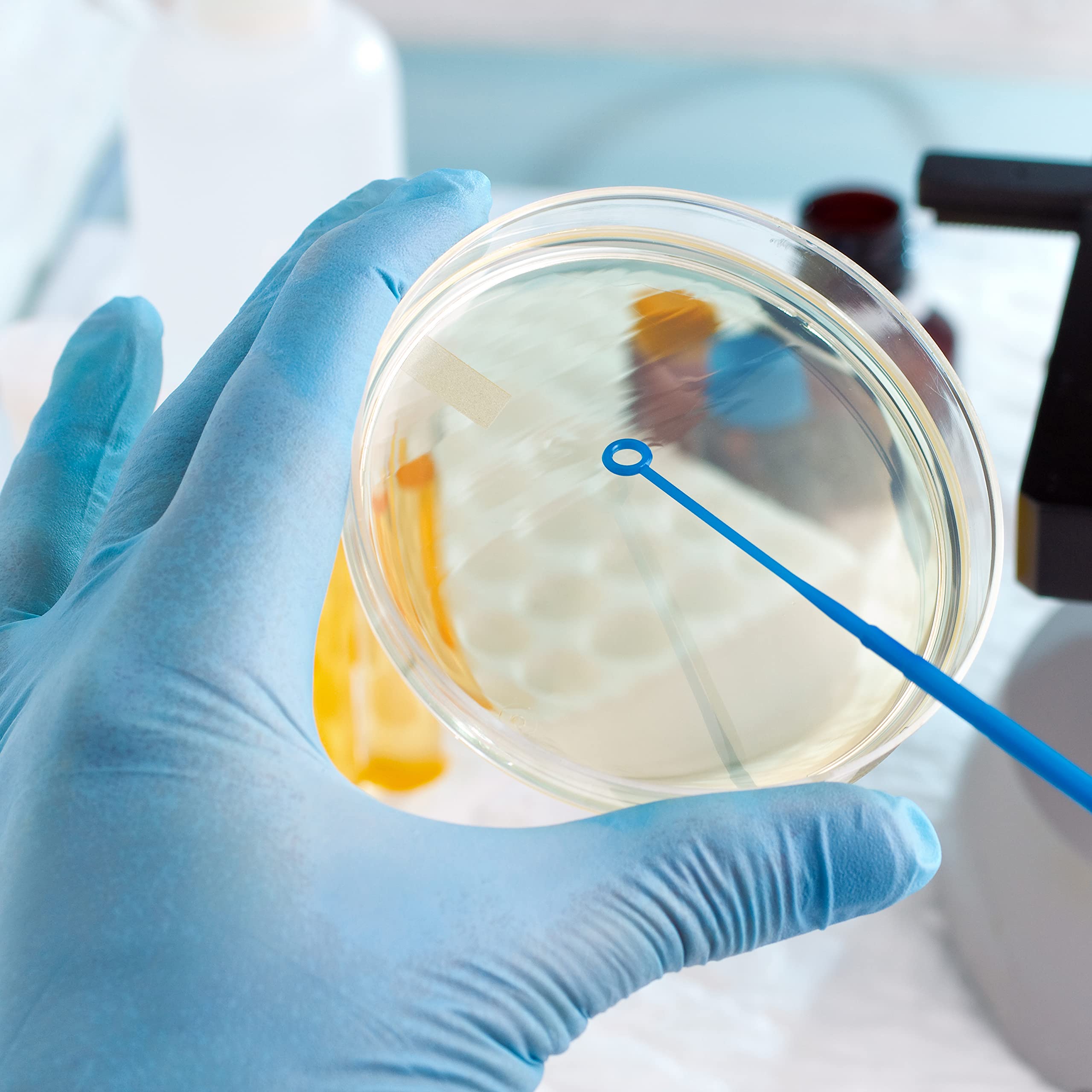 Potato Dextrose Agar Plates - Evviva Sciences - Prepoured Potato ...