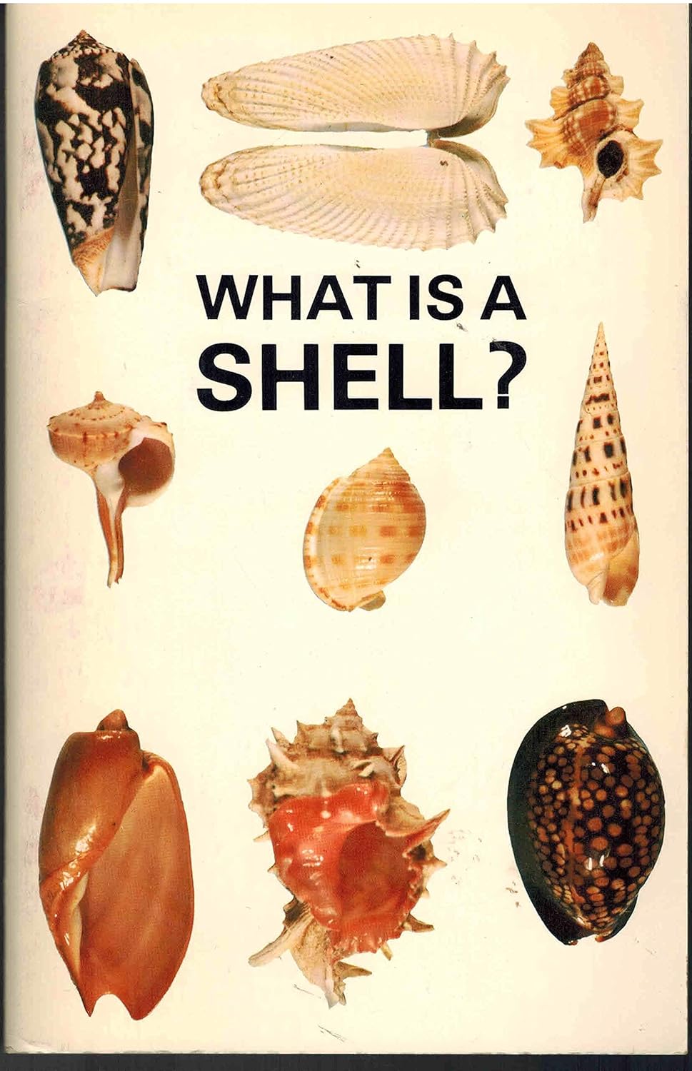 What is a shell?: Rice, Tom: Amazon.com: Books