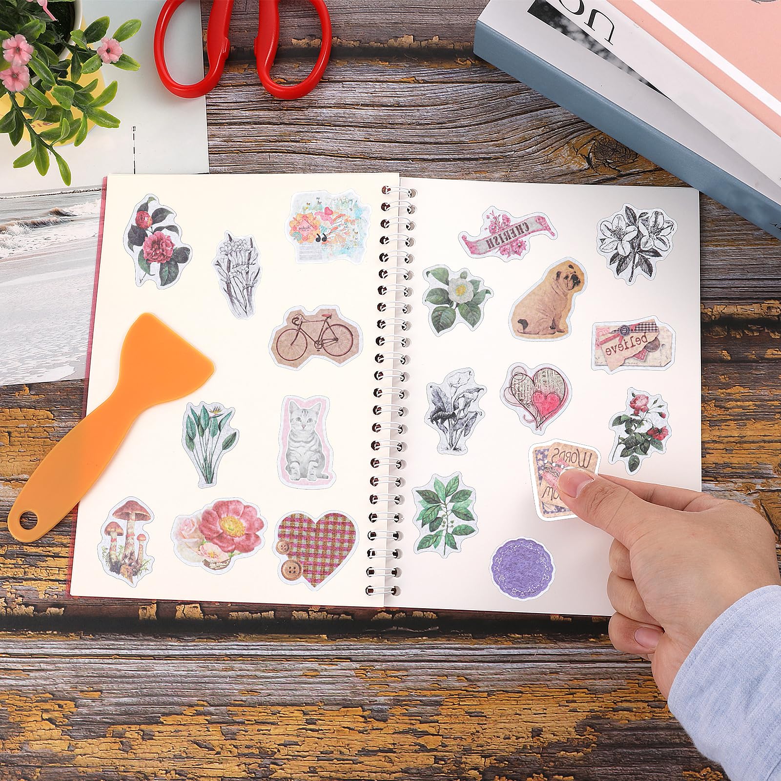 Aster Sticker Collecting Album, Sticker Collection Book with Plastic ...