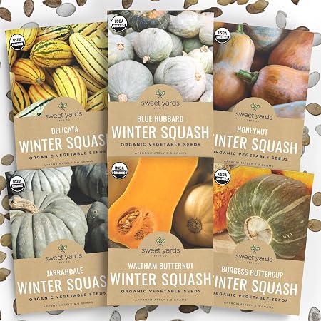 Amazon.com : Purely Organic Squash Seeds (Winter Spaghetti) - Approx 20 ...