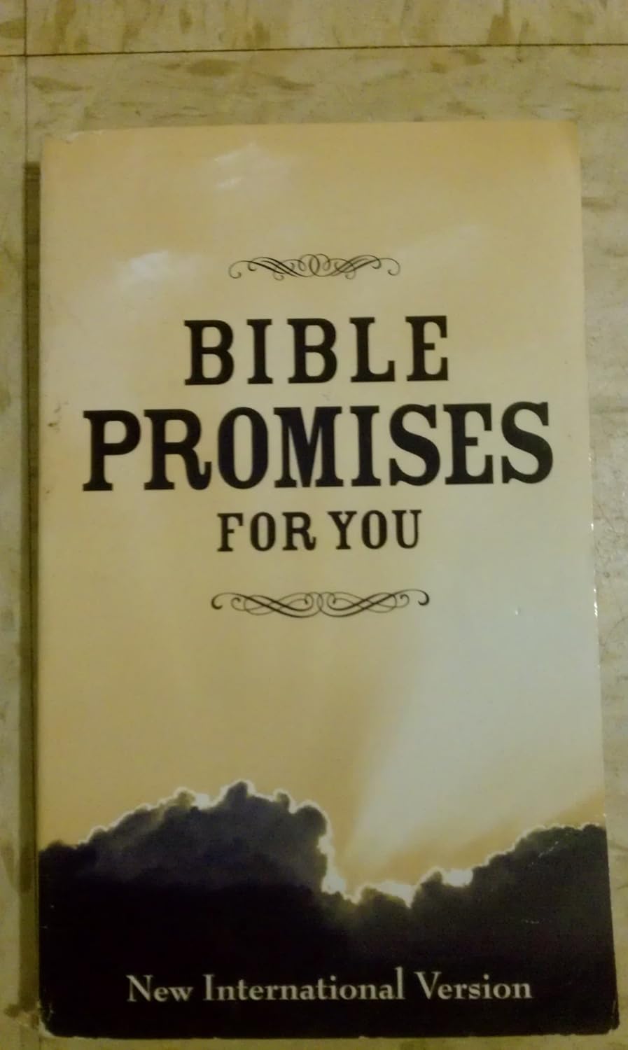 Bible Promises for You: Zondervan: 9780310812685: Amazon.com: Books