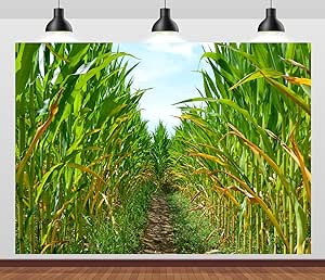 Amazon.com : BELECO 6x4ft Fabric Farmland Cornfield Backdrop Green Corn ...