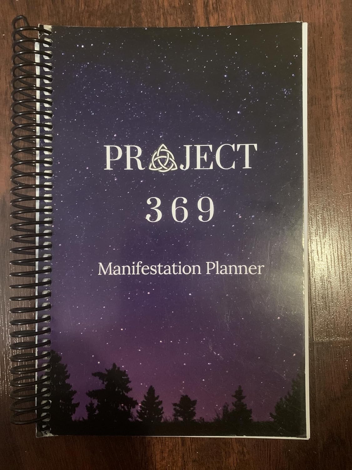 PROJECT 369 Manifestation Planner: David Kasneci: 9798985952209: Amazon ...