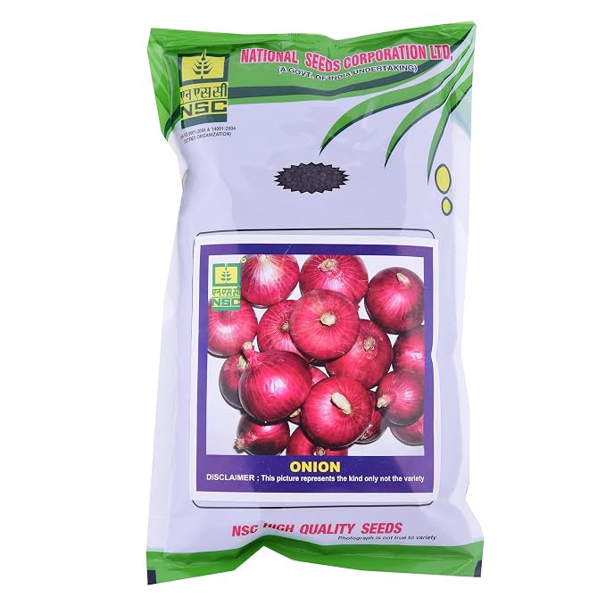 National Seeds Corporation Limited Onion Seeds (50 Grms) : Amazon.in ...