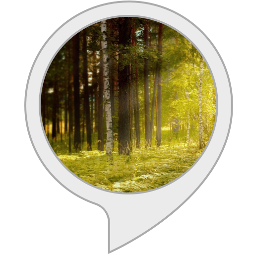 Amazon.de: Best Forest Sounds : Alexa Skills