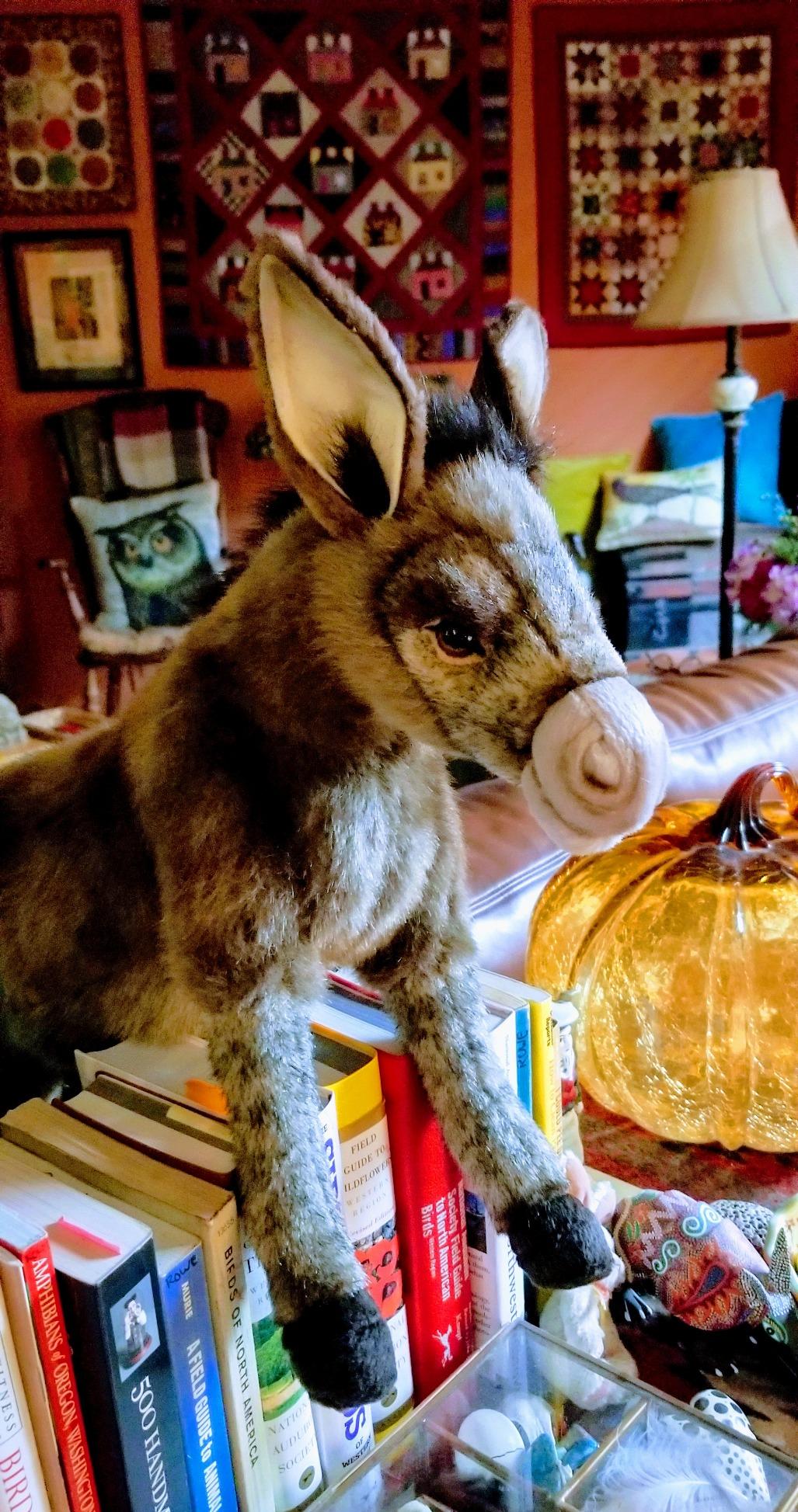 Amazon.com: Hansa Donkey Plush : Toys & Games