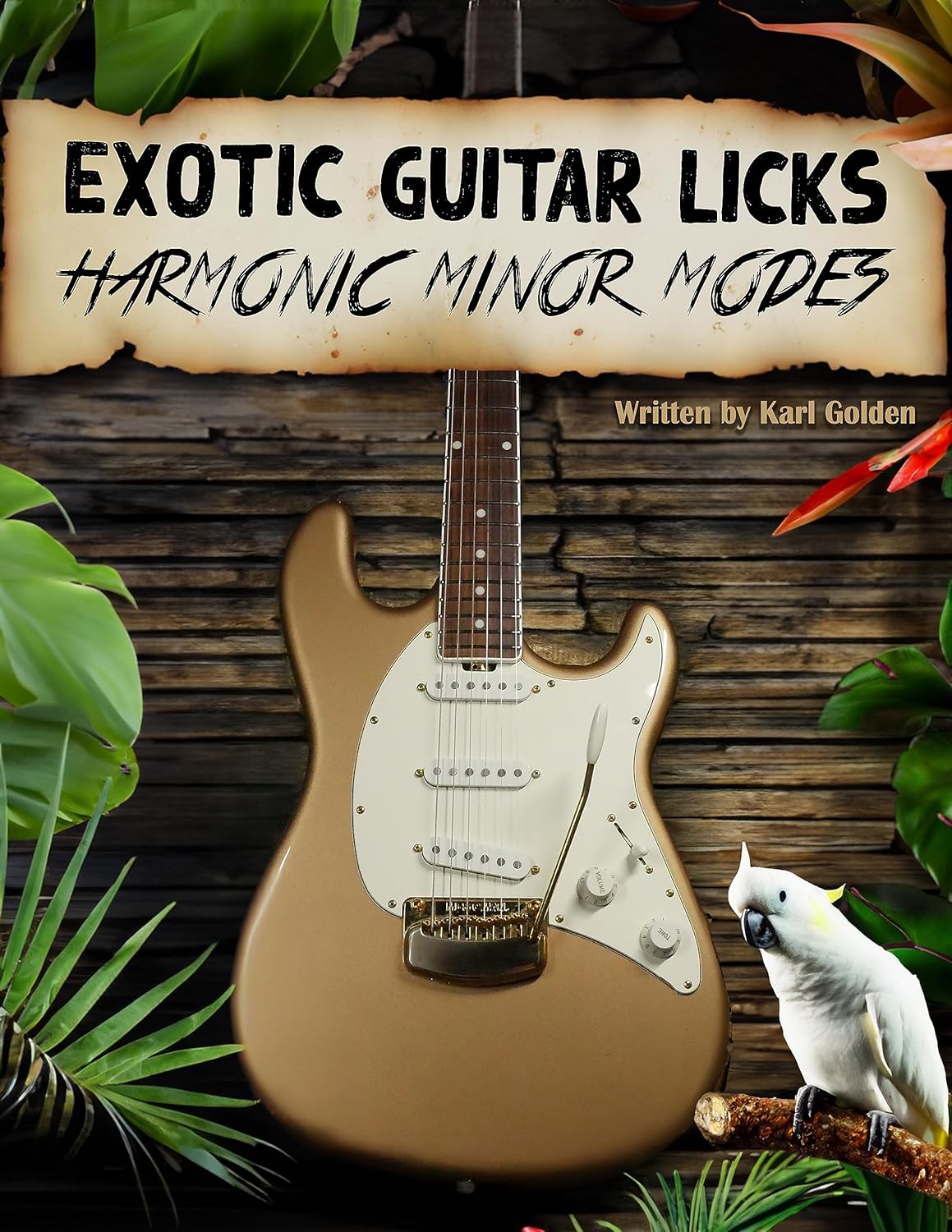 Exotic Guitar Licks : Unlocking Harmonic Minor Modes & Scales (Crafting ...