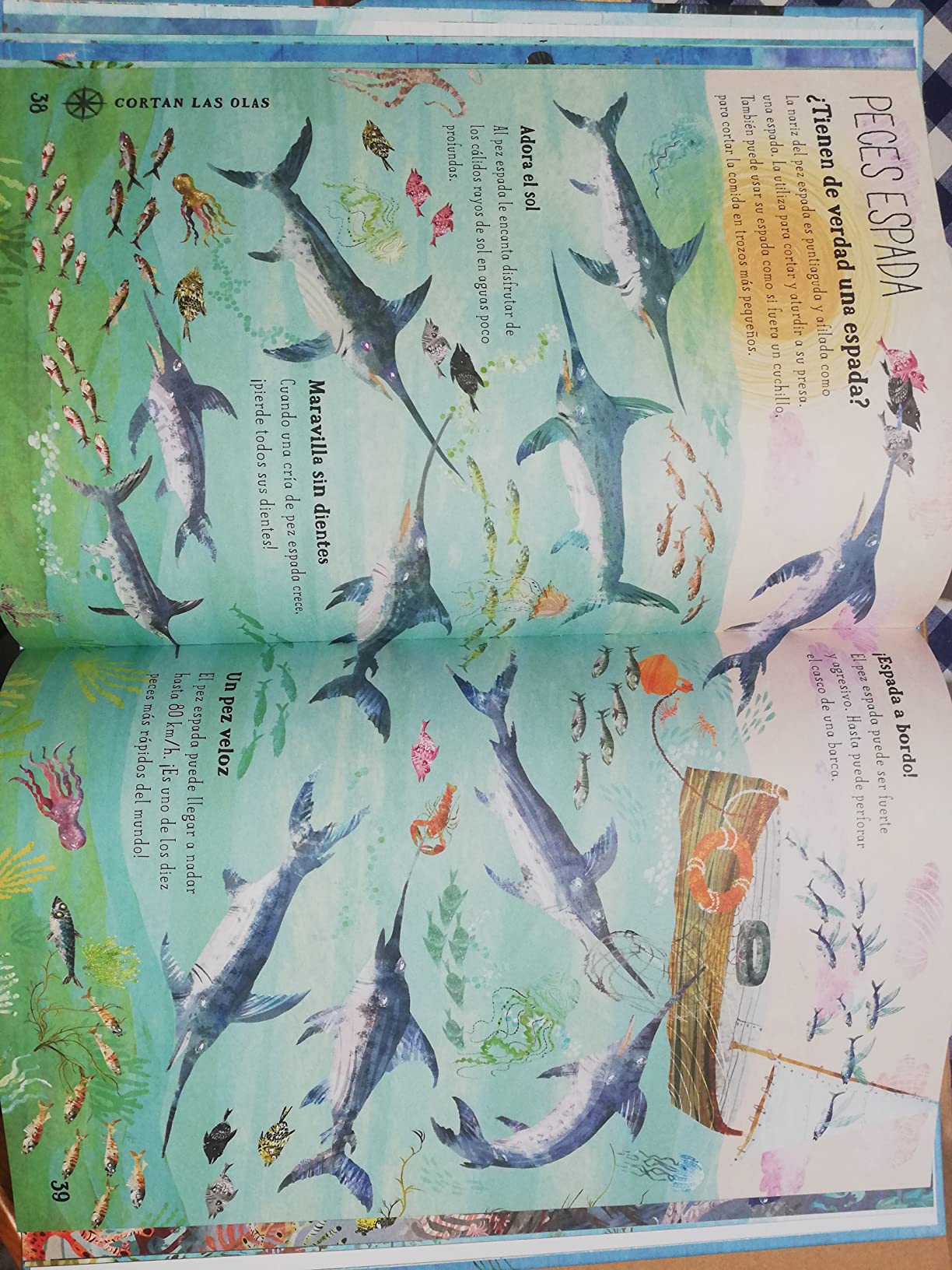 El gran libro del mar (Álbumes Ilustrados) : Yuval Zommer, Yuval Zommer ...