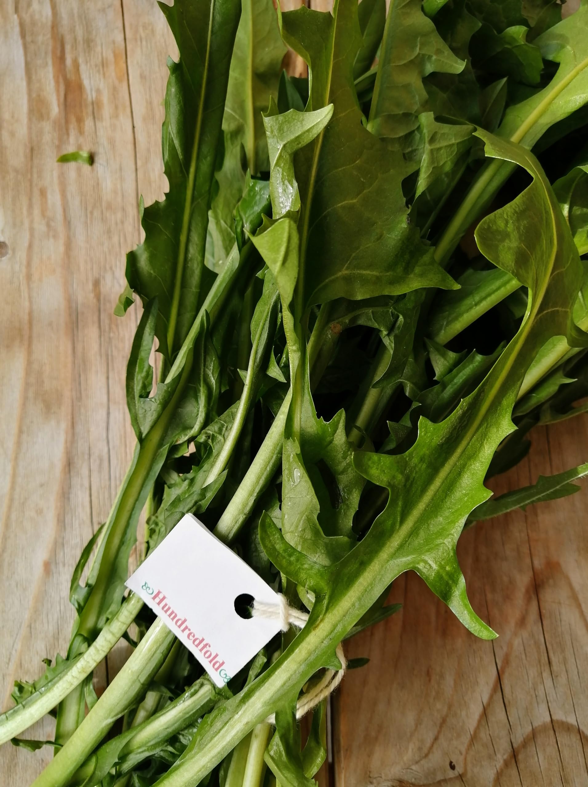 Chicory Vegetable Chicory Stir Fry With Olive And Anchovies