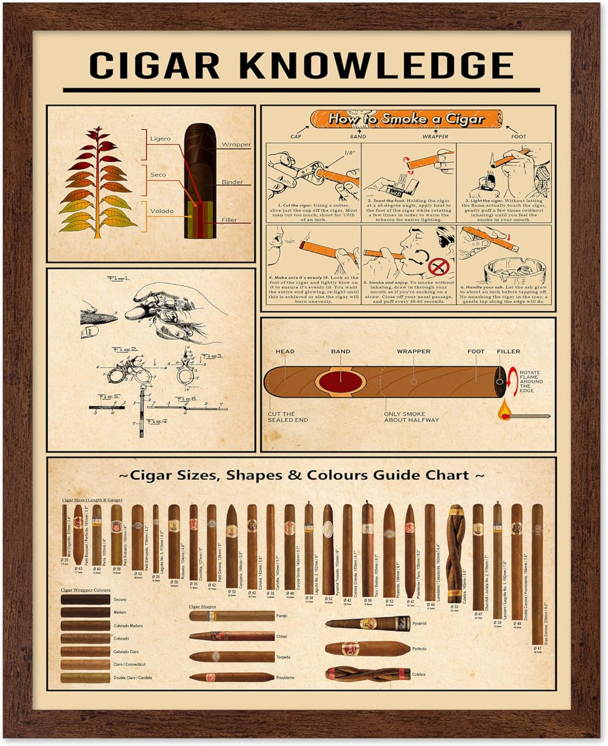 Amazon.com: Poster Master Cigar Knowledge Poster - Cigar Sizes, Shapes ...