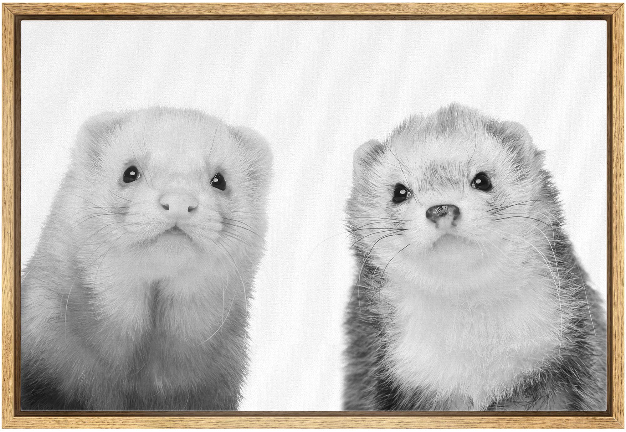 Realistic Ferret Drawing