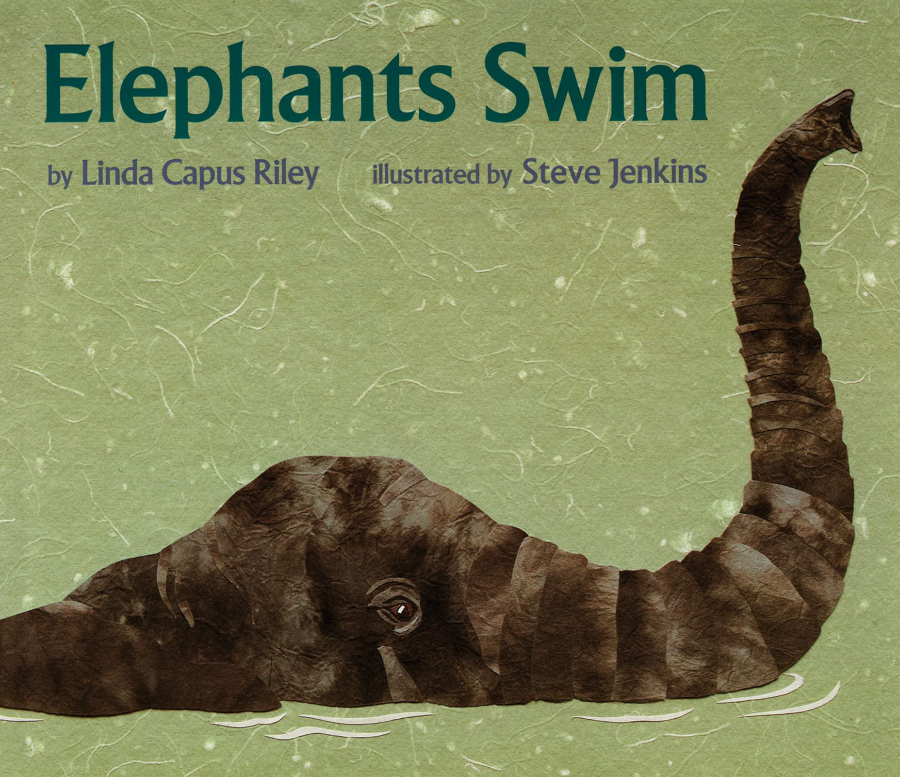 Amazon.com: Elephants Swim (Sandpiper Books): 9780395934890: Riley ...