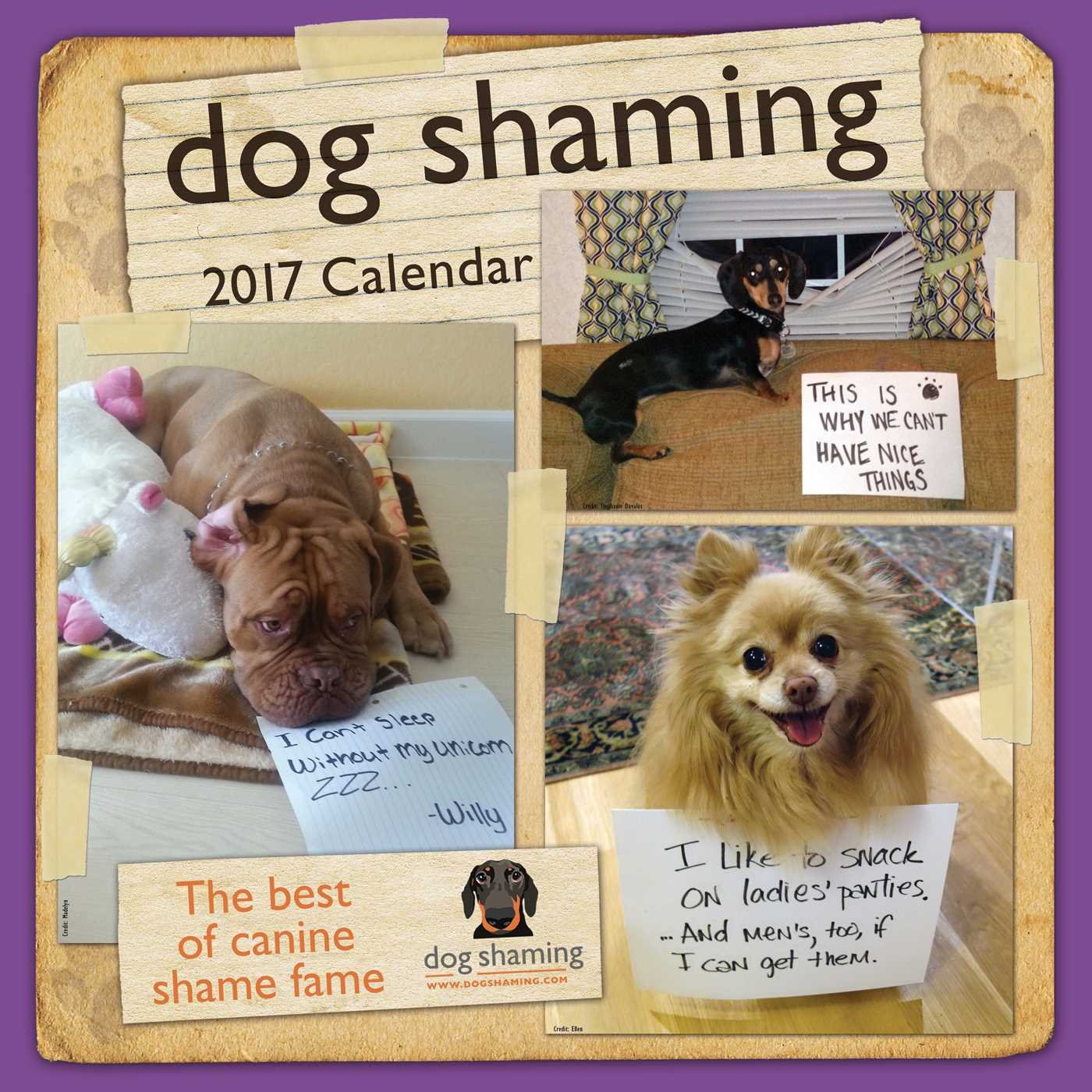 Buy Dog Shaming 2017 Wall Calendar Book Online at Low Prices in India ...