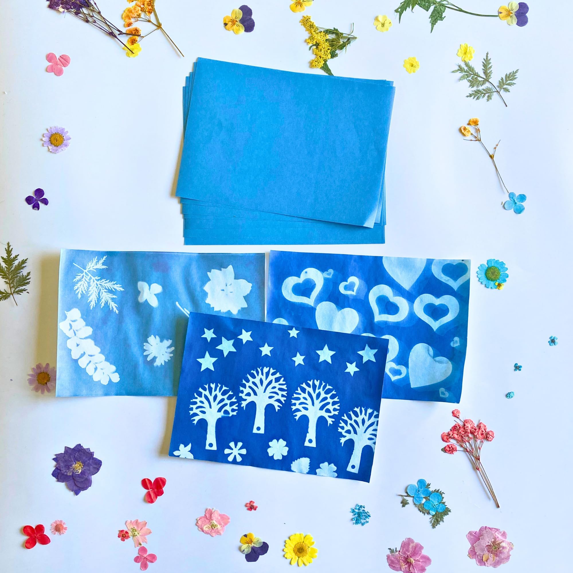 Curious Minds Cyanotype Paper Kit | 10 Sheet Pack of Sun Print Paper ...