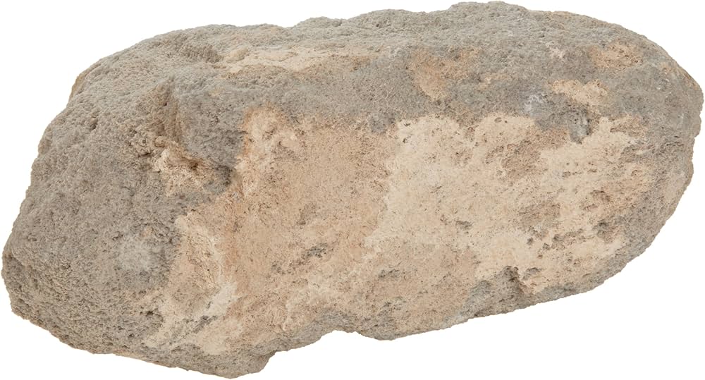 Igneous Rocks Pumice