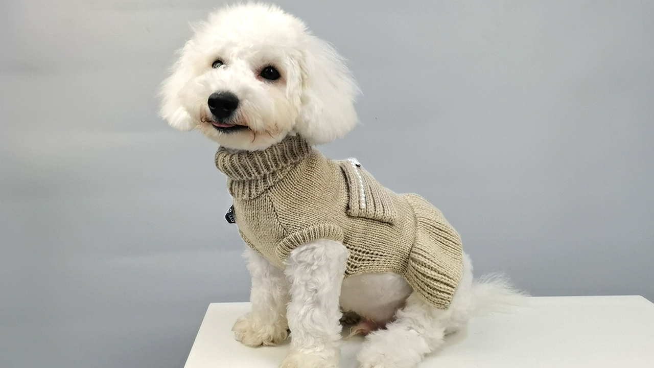 Watch cyeollo Dog Sweater Dress on Amazon Live