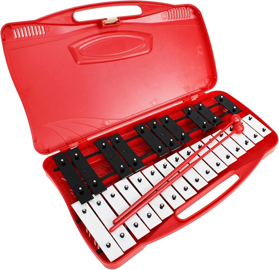 Amazon.it: metallofono