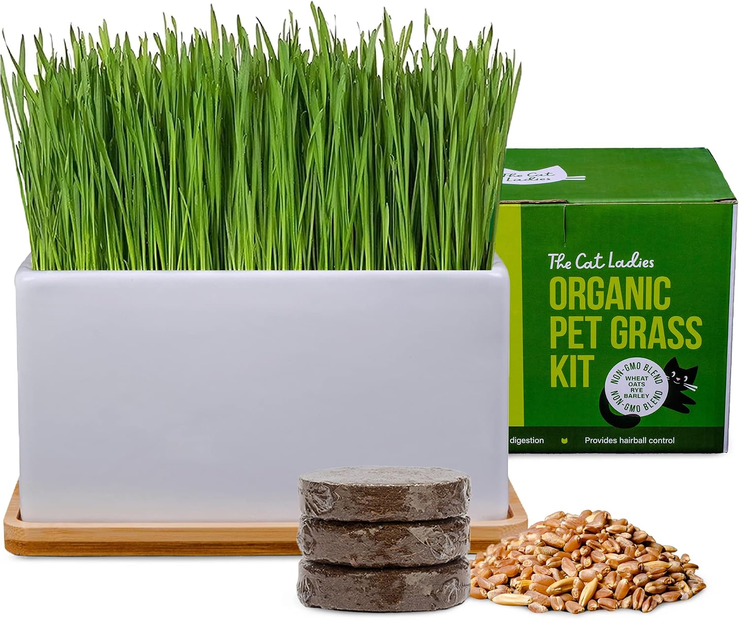 Amazon.com: Organic Cat Grass Growing kit with Organic Seed Mix, Soil ...