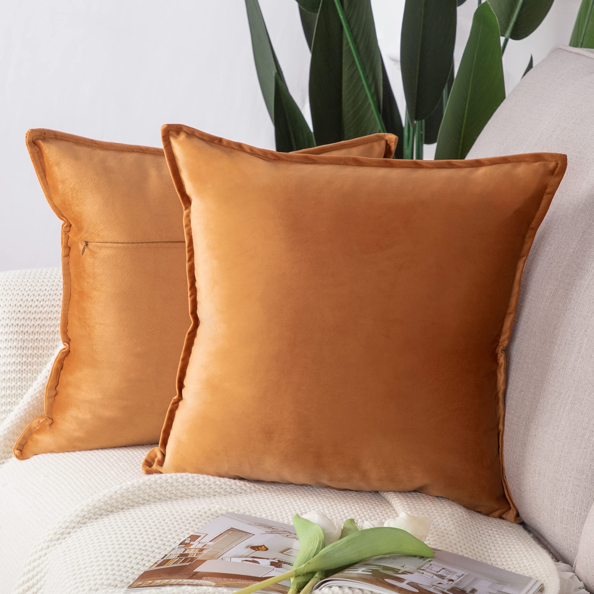 Madizz Pack of 2 Super Soft Velvet Decorative Cushion Covers with ...
