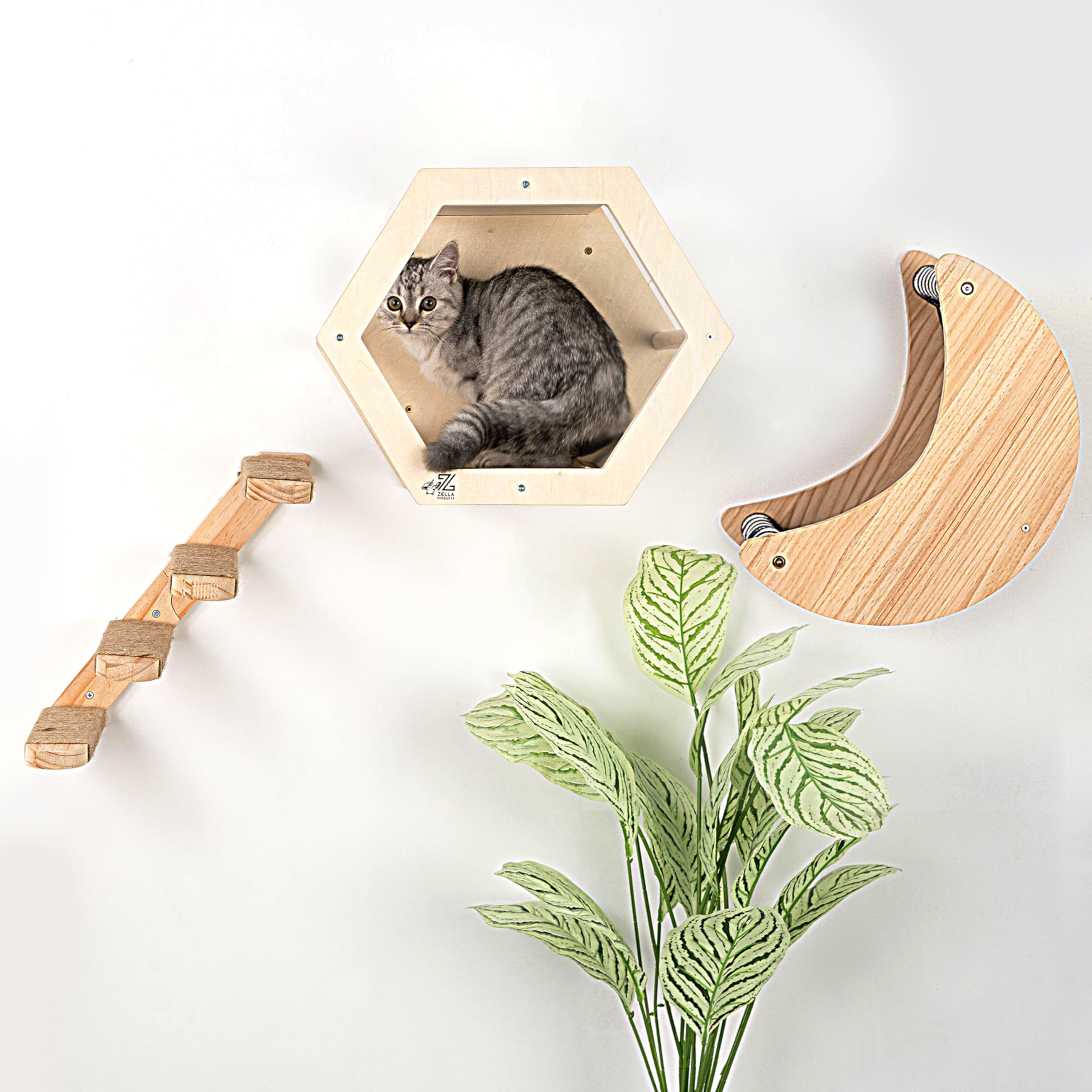 Best Hexagon Cat Shelves: Stylish and Functional Furniture for Felines ...