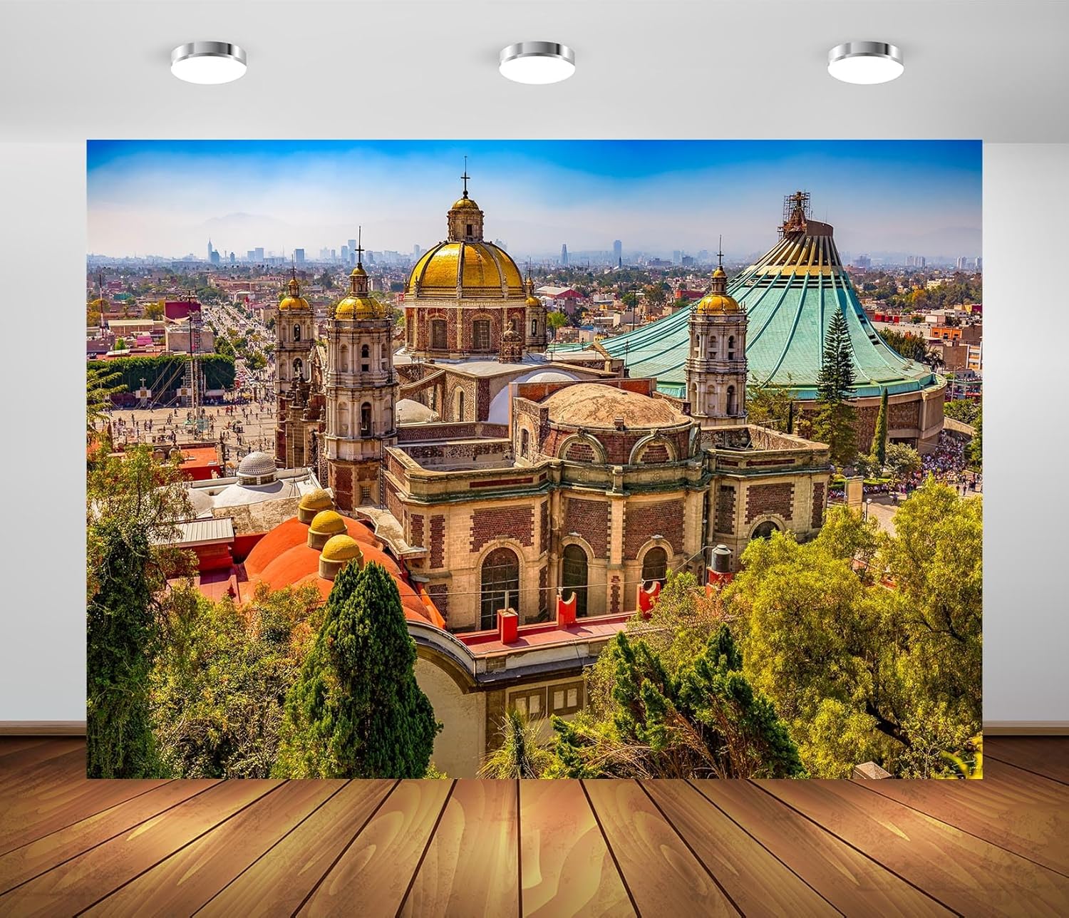 Amazon.com : BELECO 7x5ft Fabric Basilica of Our Lady of Guadalupe ...