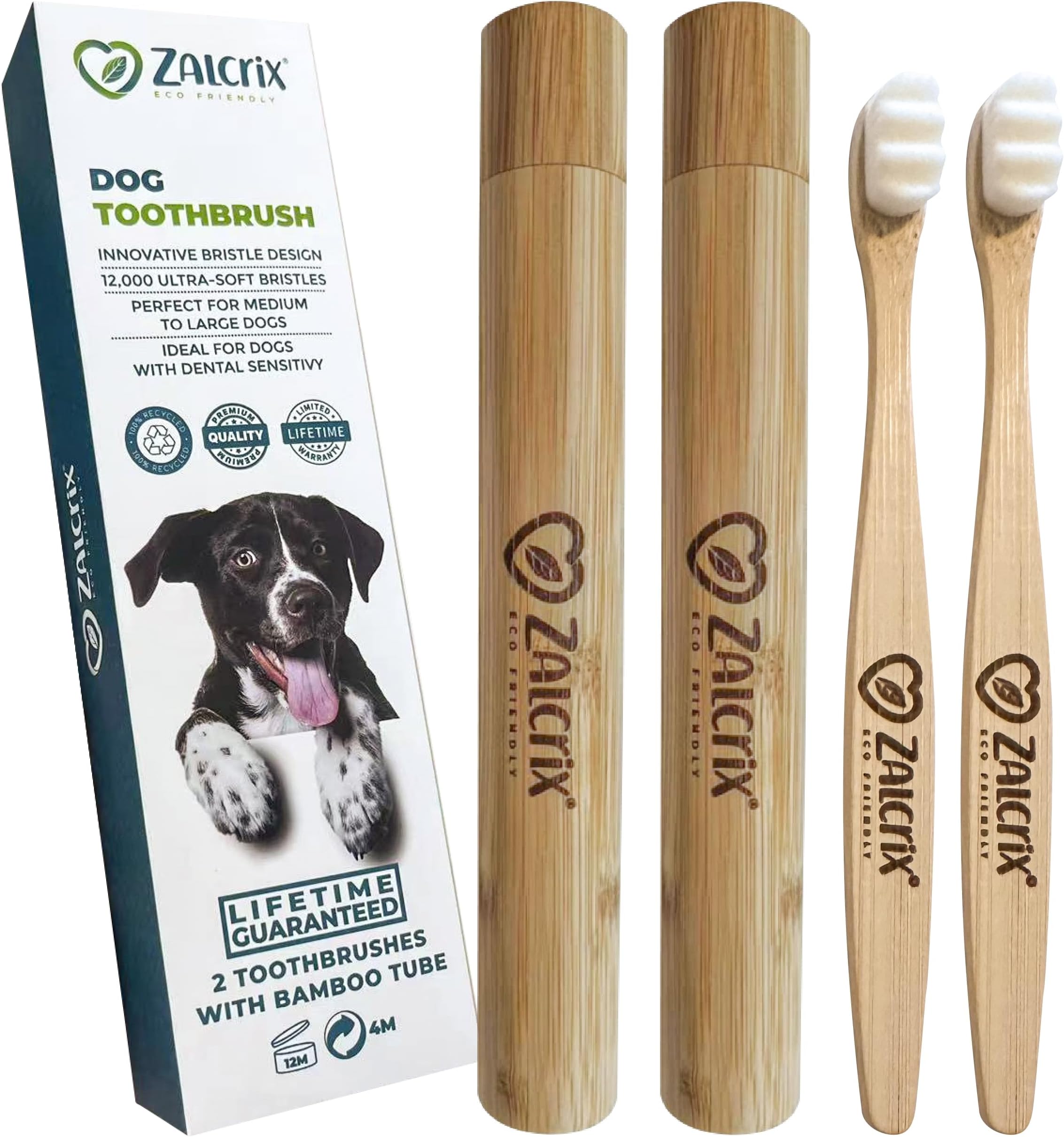 Amazon.com: zalcrix ECO-FREINDLY Dog Toothbrush - Natural Bamboo with ...