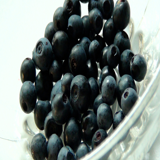 BILBERRY Fruit:Amazon.com:Appstore for Android