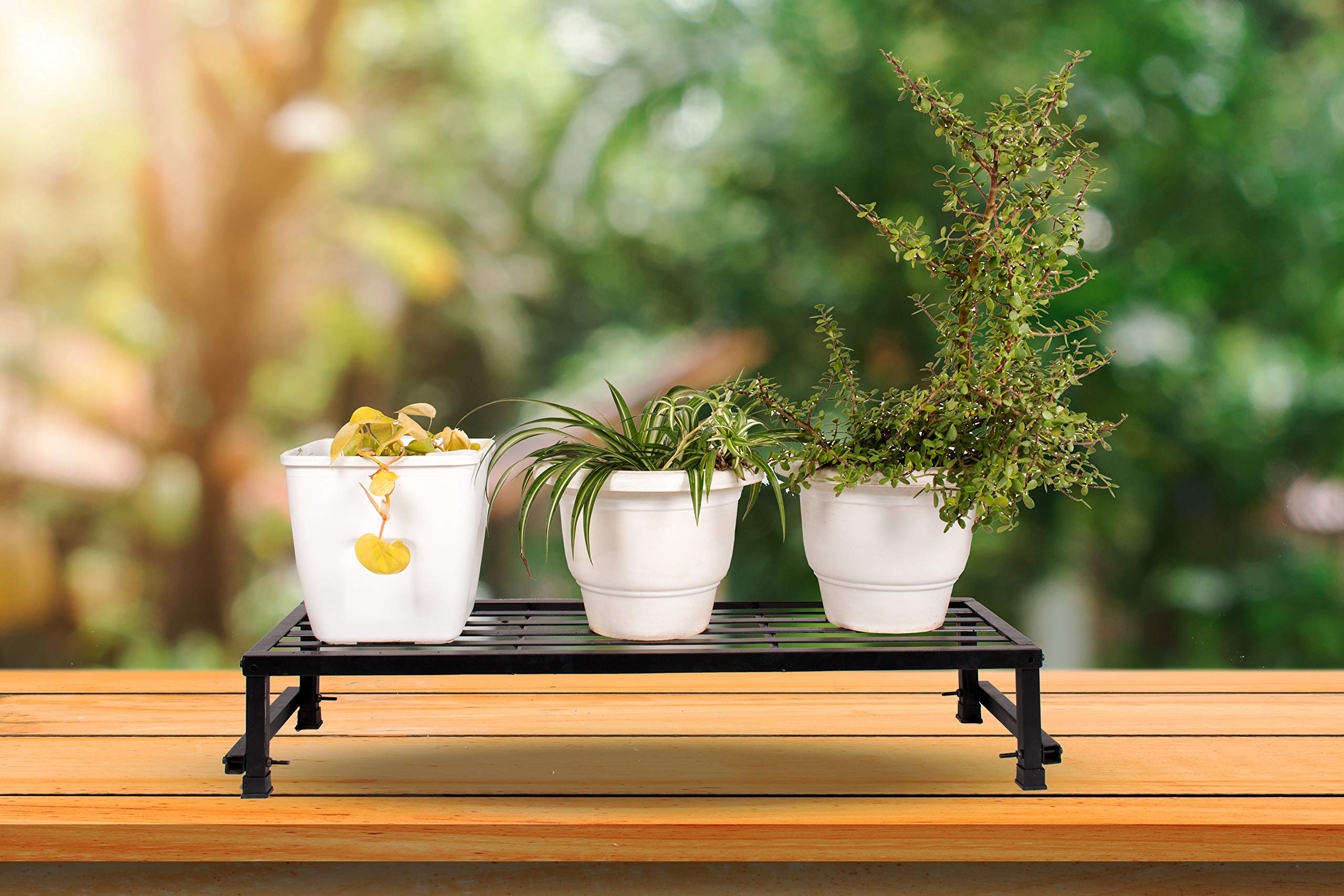 Hins Iron Metal Single Step Pot Stand Without Pot Indoor | Desertcart ...