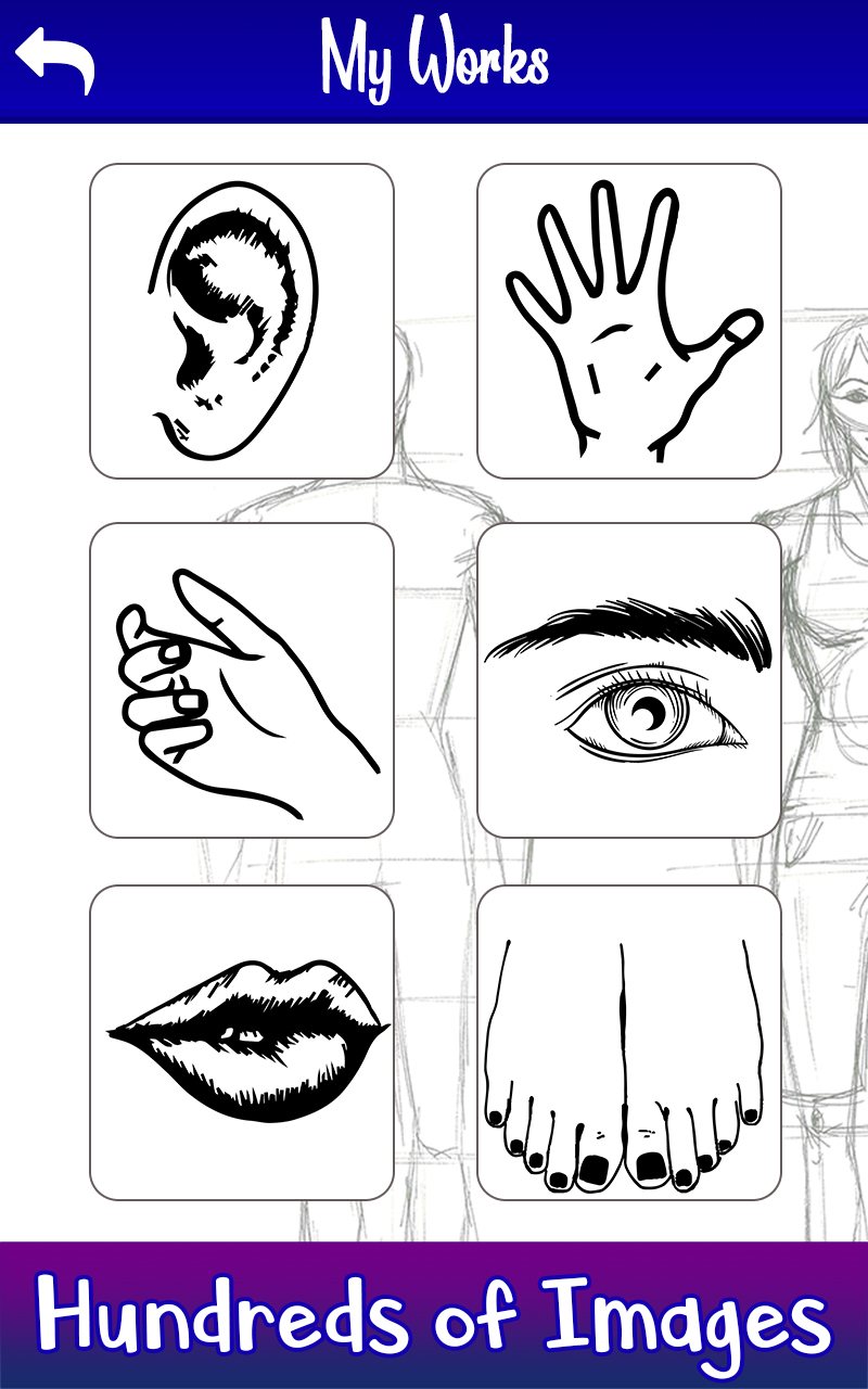 Learn to Draw & Color Human Body - Step By Step Guide - App on Amazon ...