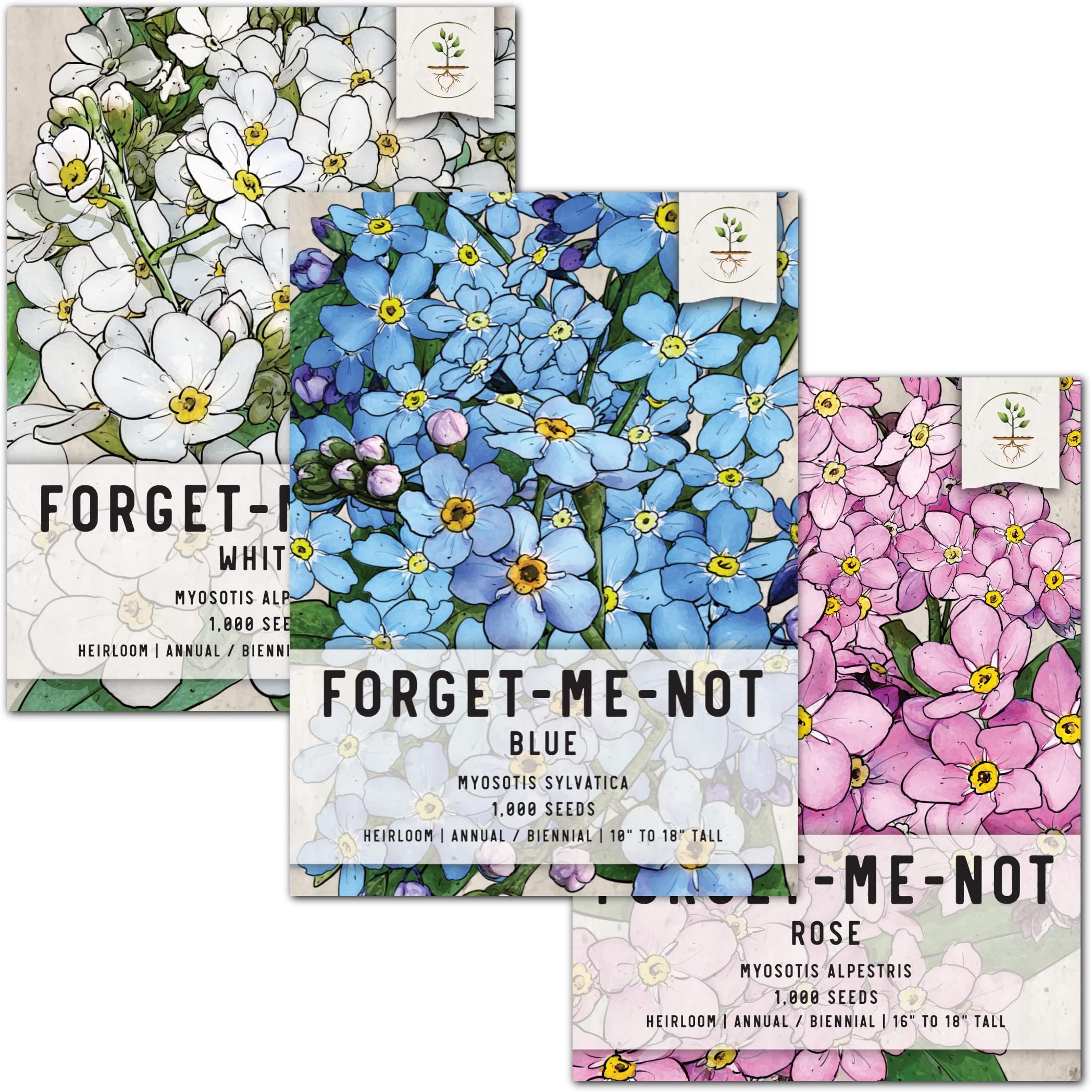 Amazon.com : Seed Needs, Forget-Me-Not Seed Packet Collection (Includes ...
