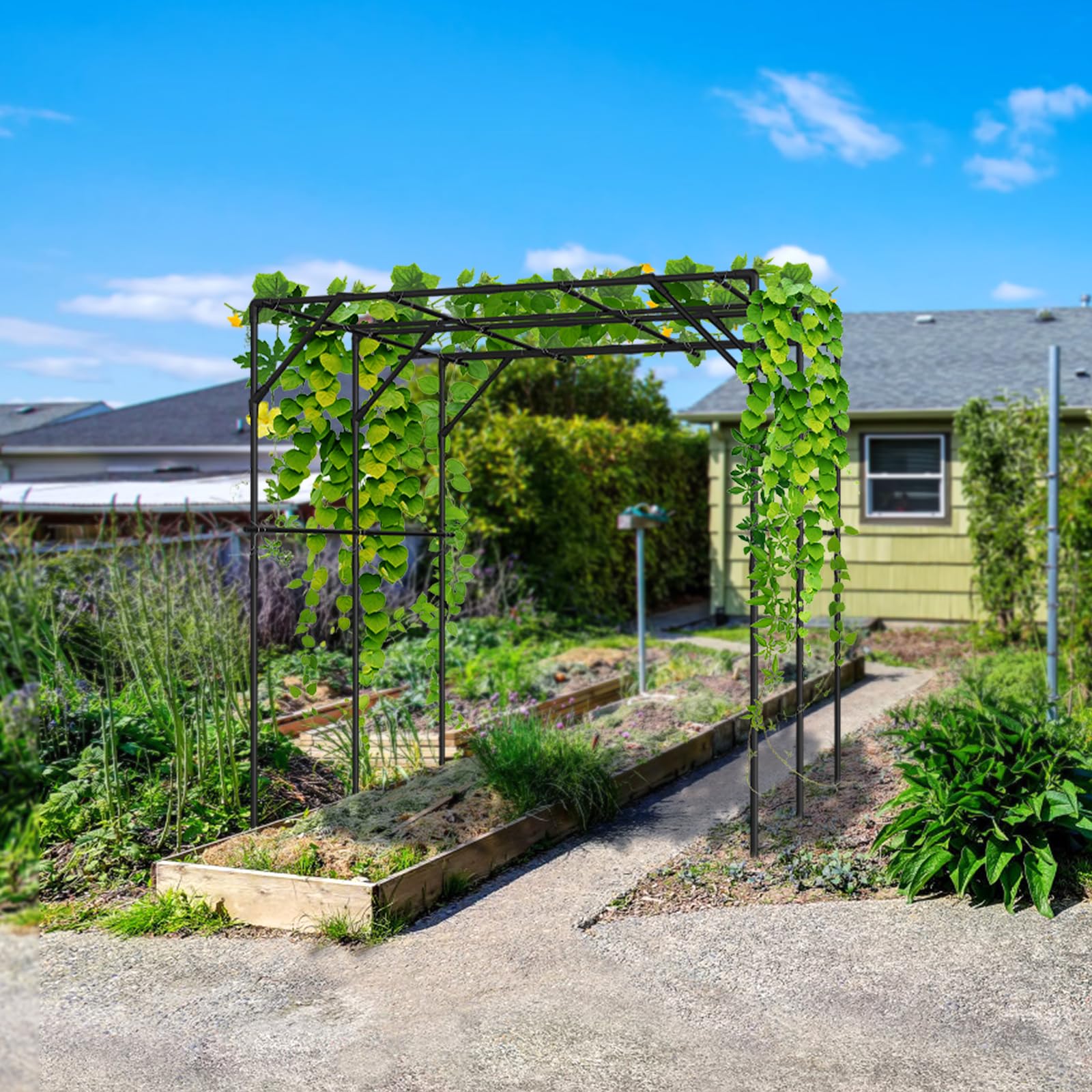 Modern Grapevine Trellis