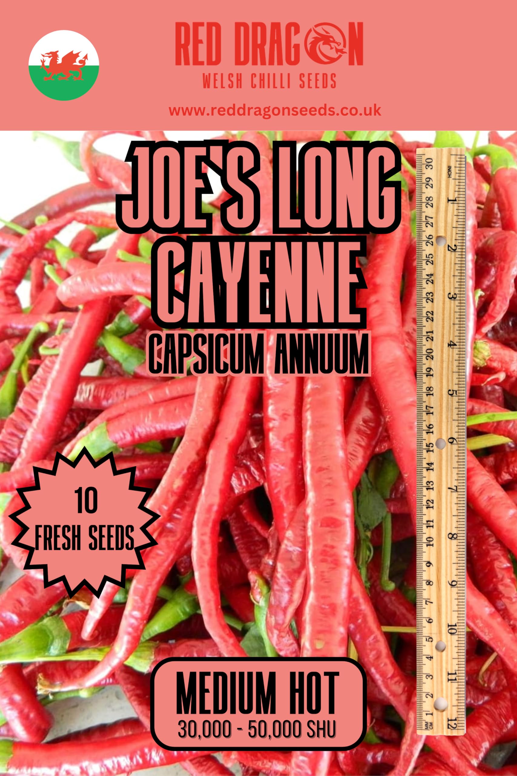 Joe's Long Cayenne Chilli Seeds - Cayenne Long Pepper Seeds : Amazon.co ...